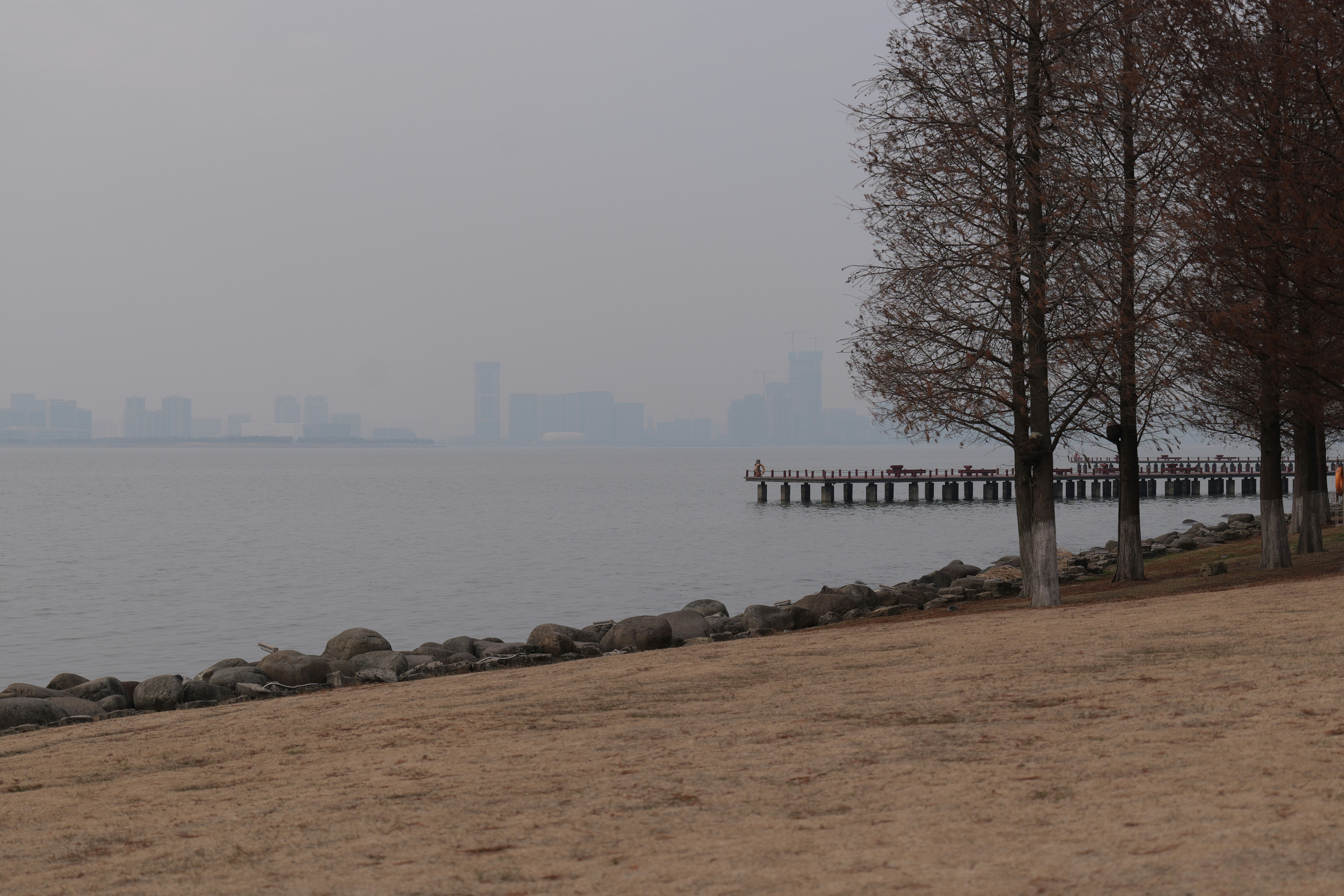 Misty Lakefront: Pier, Bare Trees, and a Distant Skyline