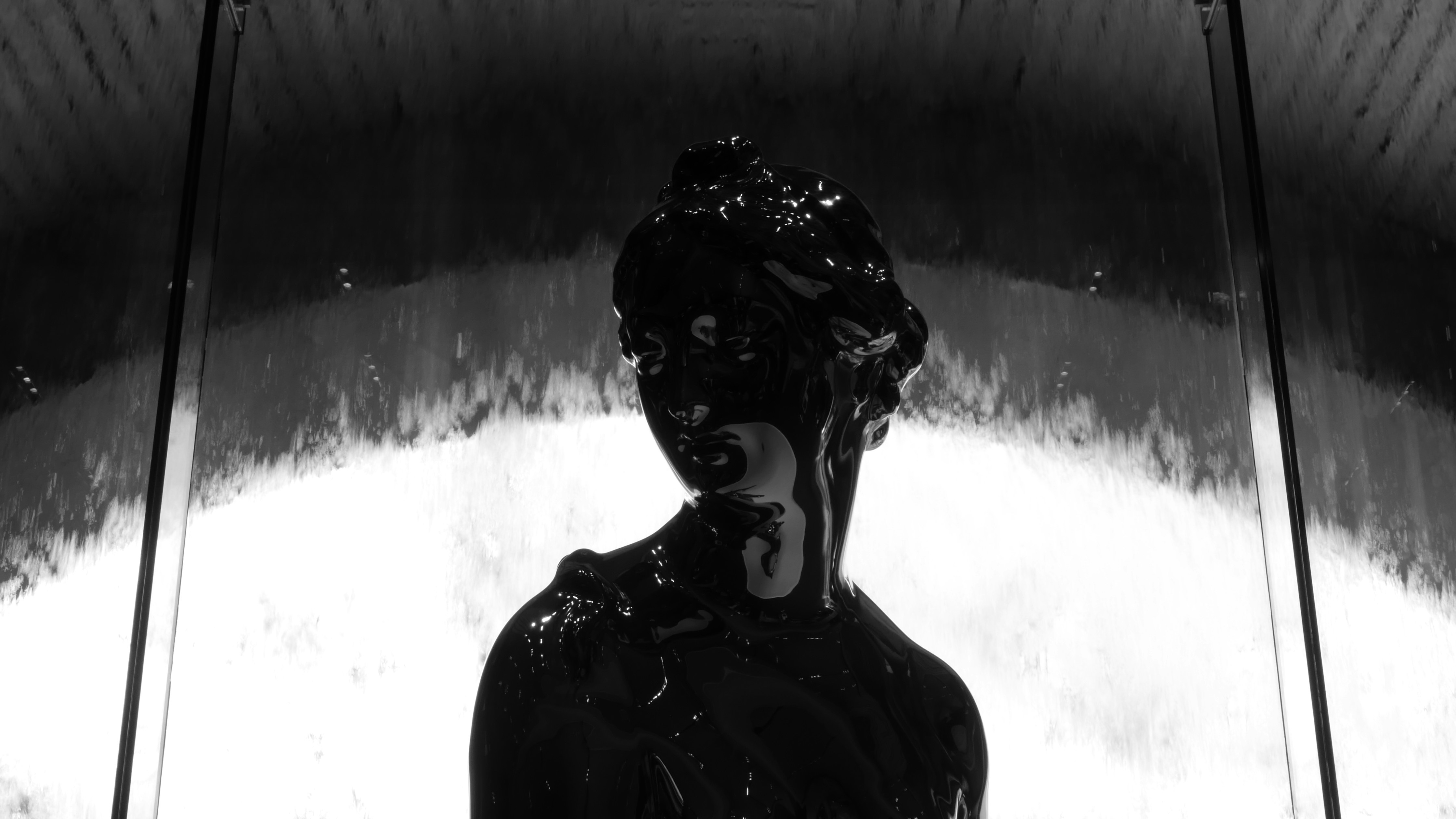 Backlit Silhouette: A Glass-Enclosed Bust in Monochrome