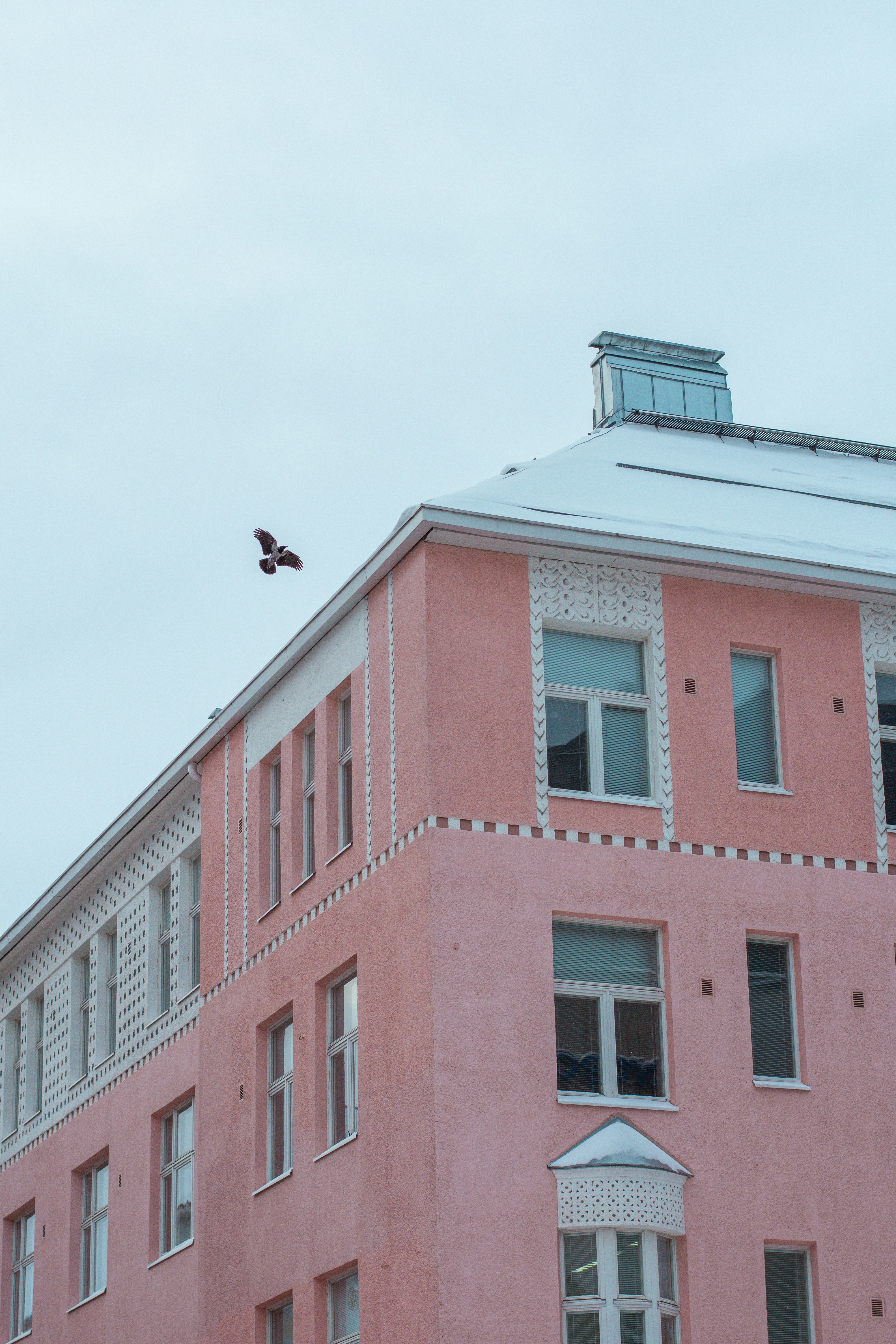 Pastel Pink Facade and a Free-Flying Moment