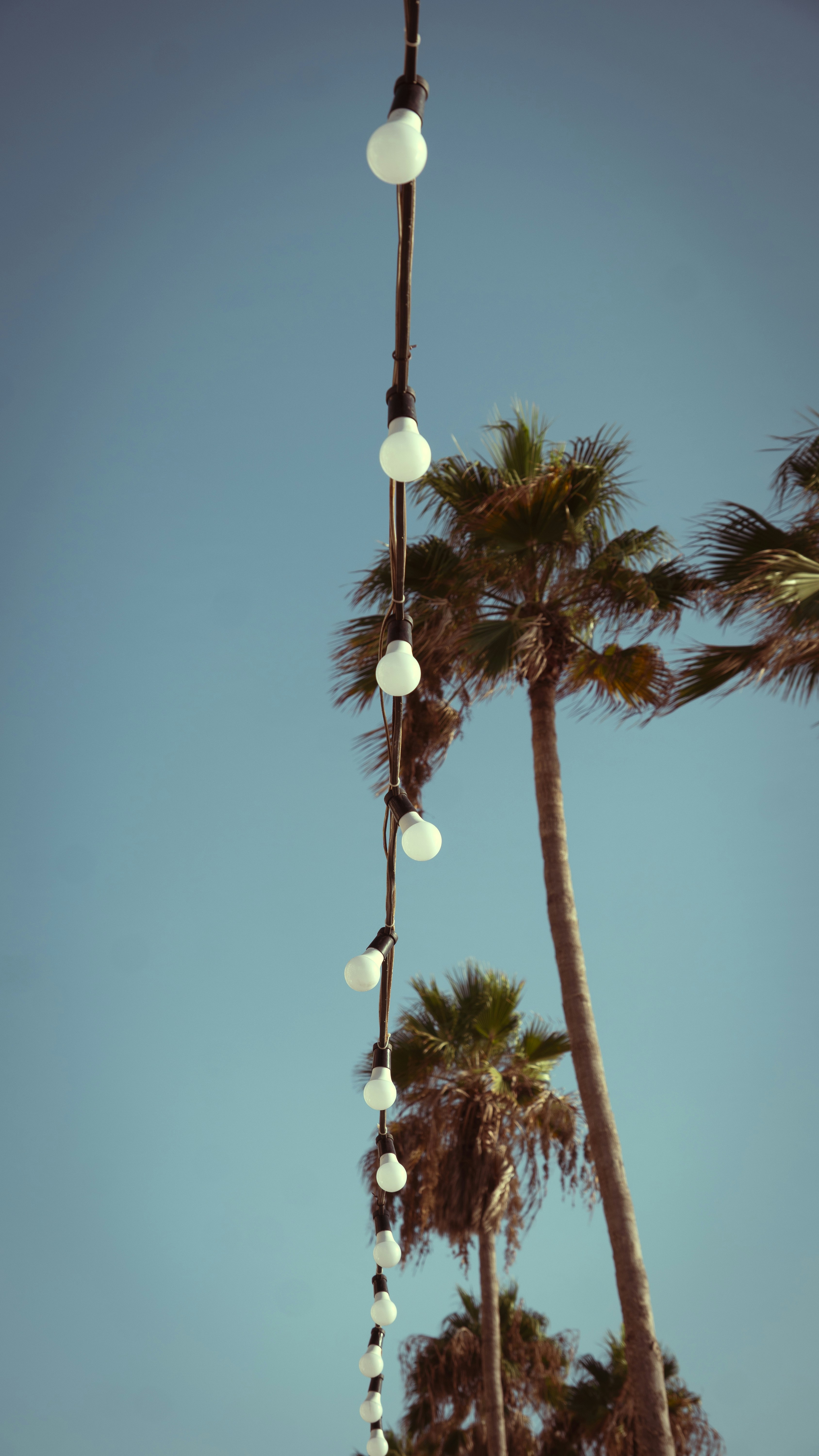 30,000+ Yam Pictures | Download Free Images on Unsplash