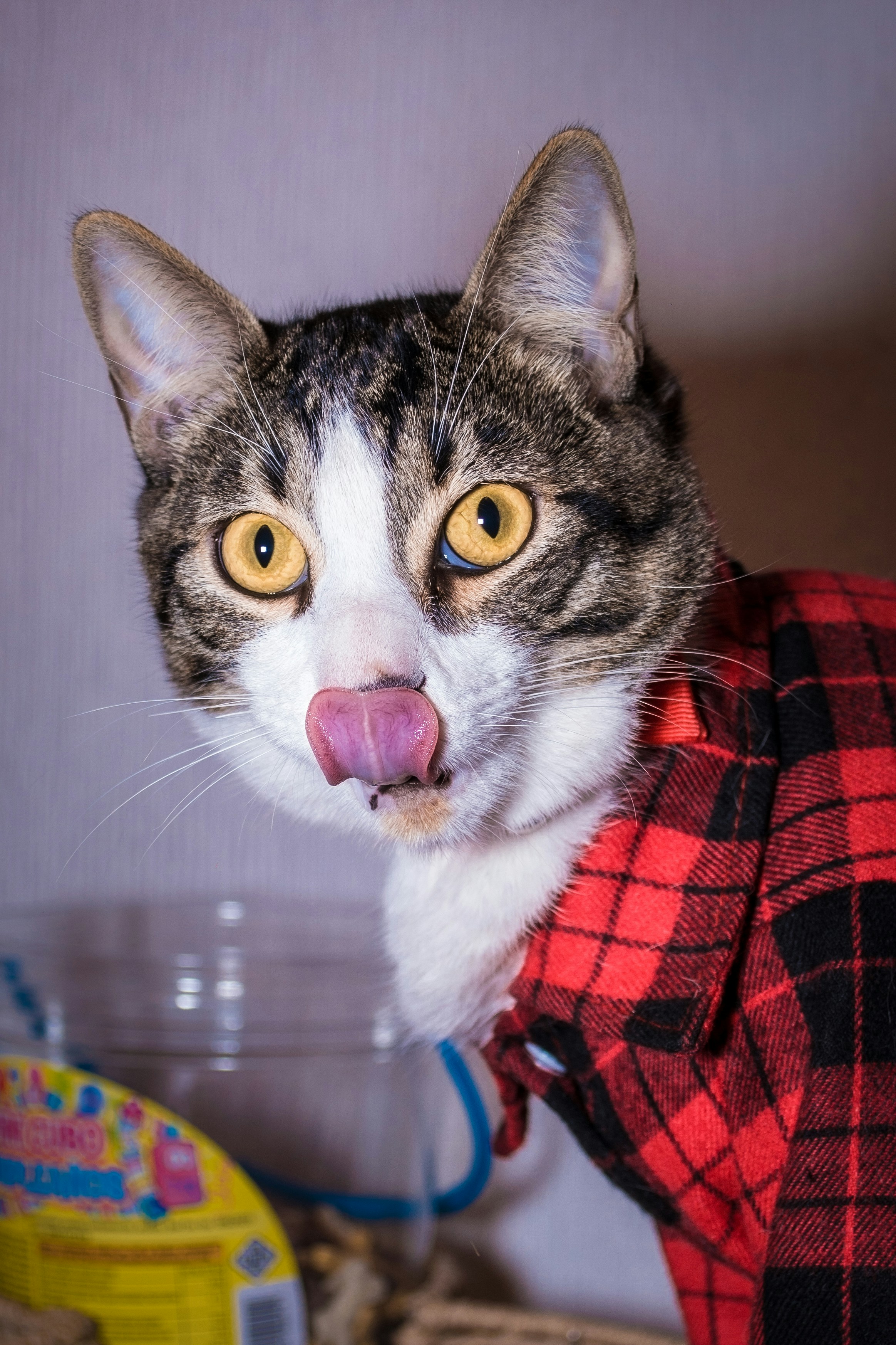 Photo by Gabriel Martin with Nikon D3100