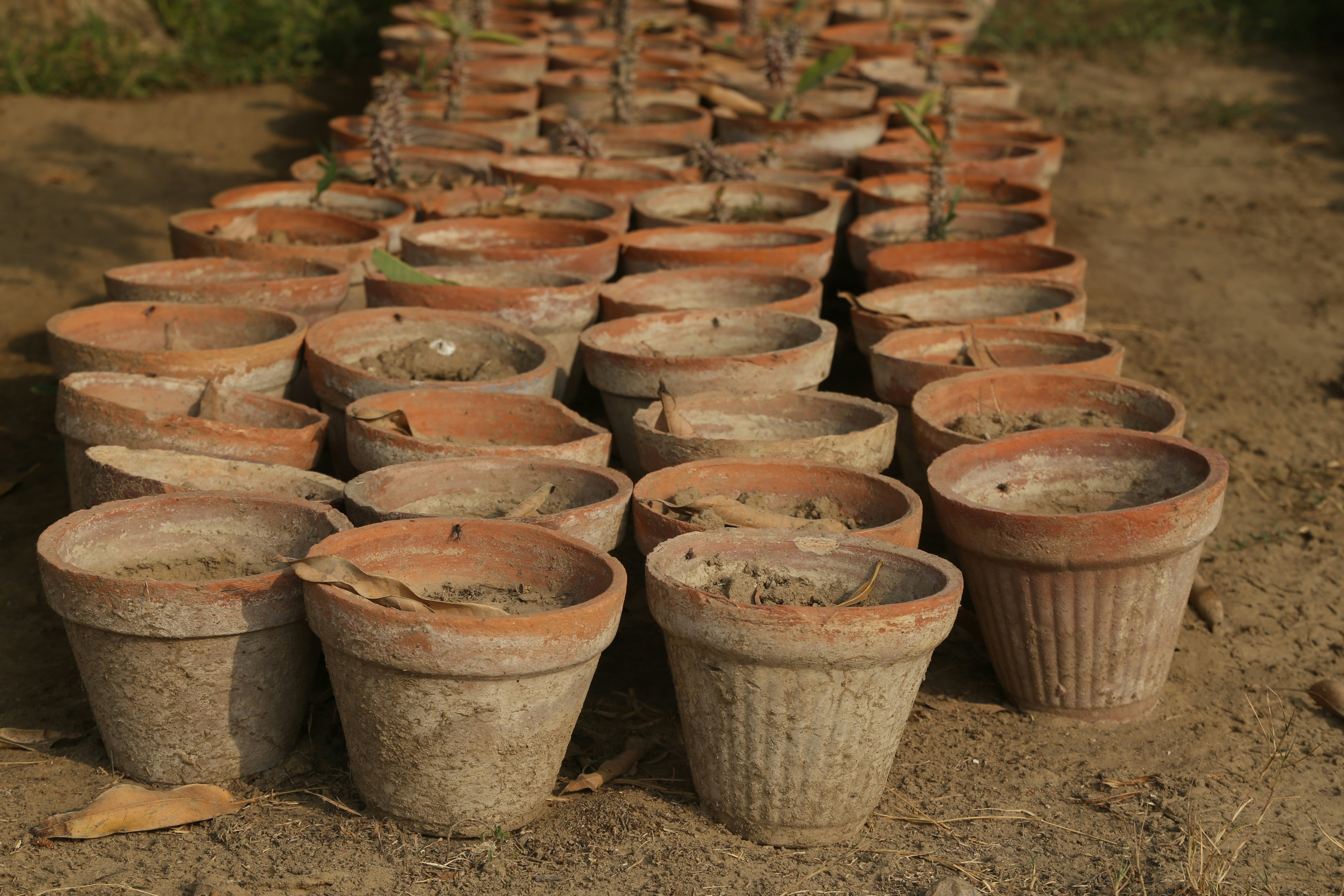 Terracotta Trenches: A Long Row of Empty Pots on Dusty Earth