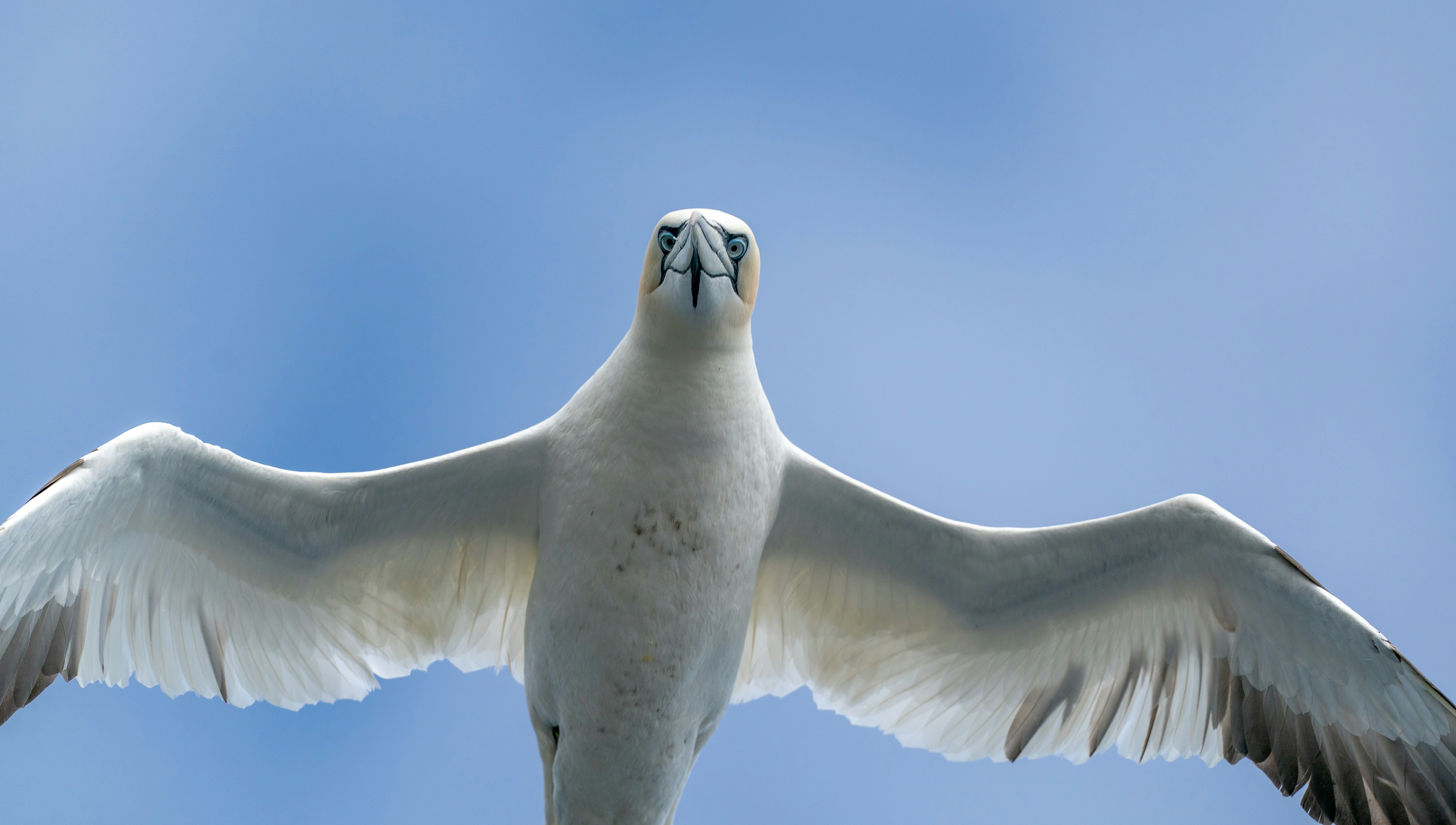 Photo by Bob Brewer with Sony Alpha 9