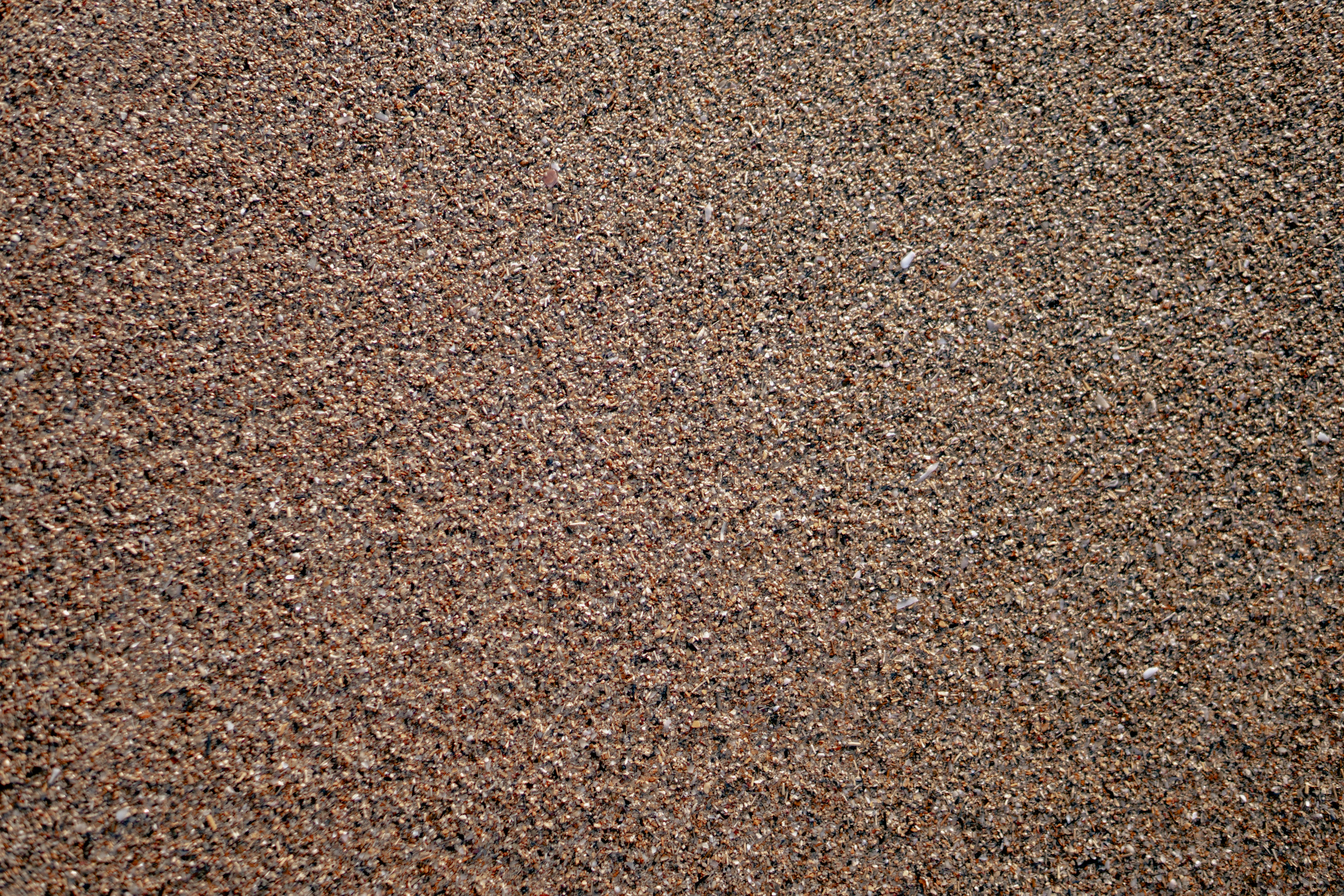 A close up view of a sand surface photo – Free Tropical beach Image on ...