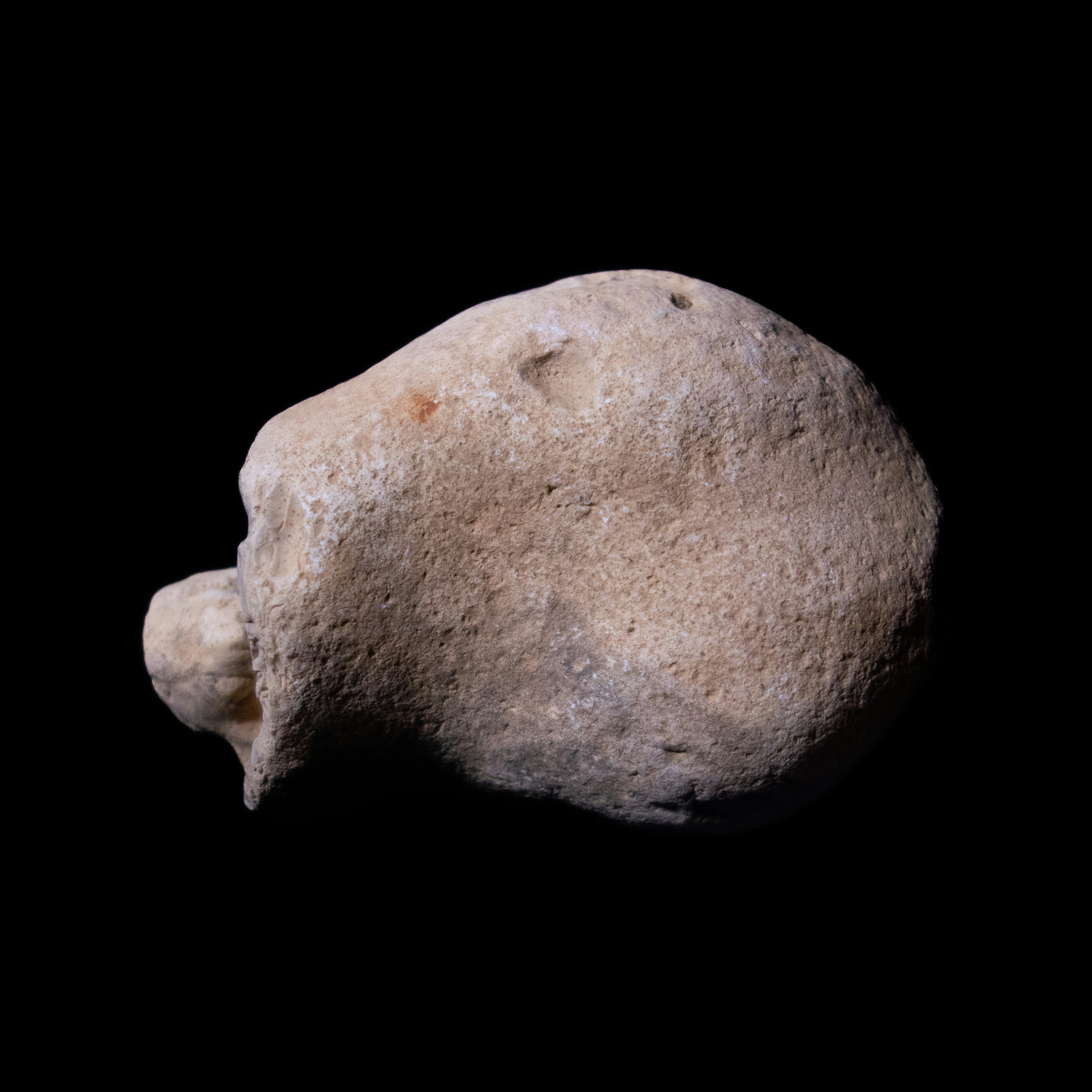 Photo by Dmitry Kharitonov with Sony RX100