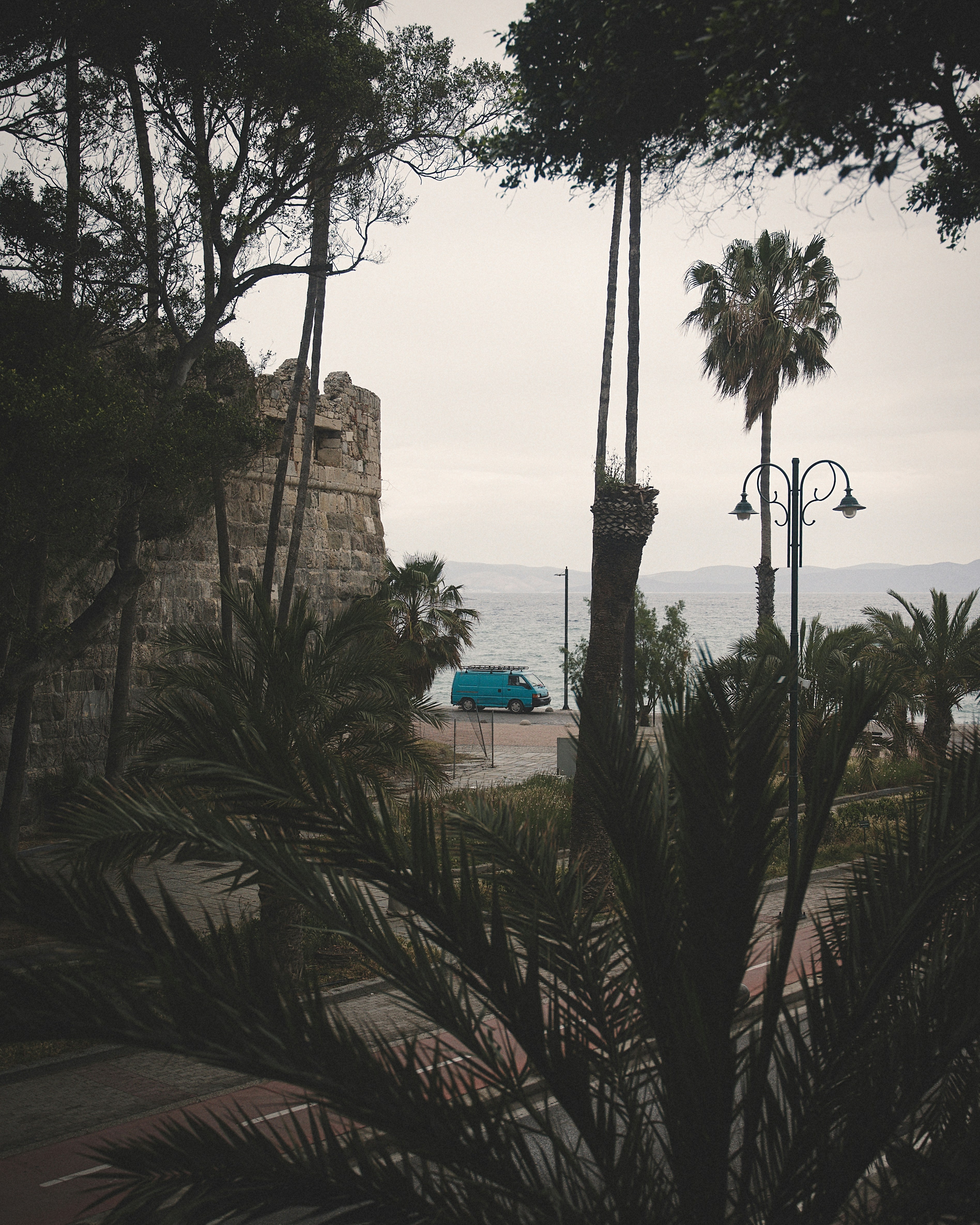 Blue Van at the Seaside Promenade, Framed by Palm Fronds and Lanterns