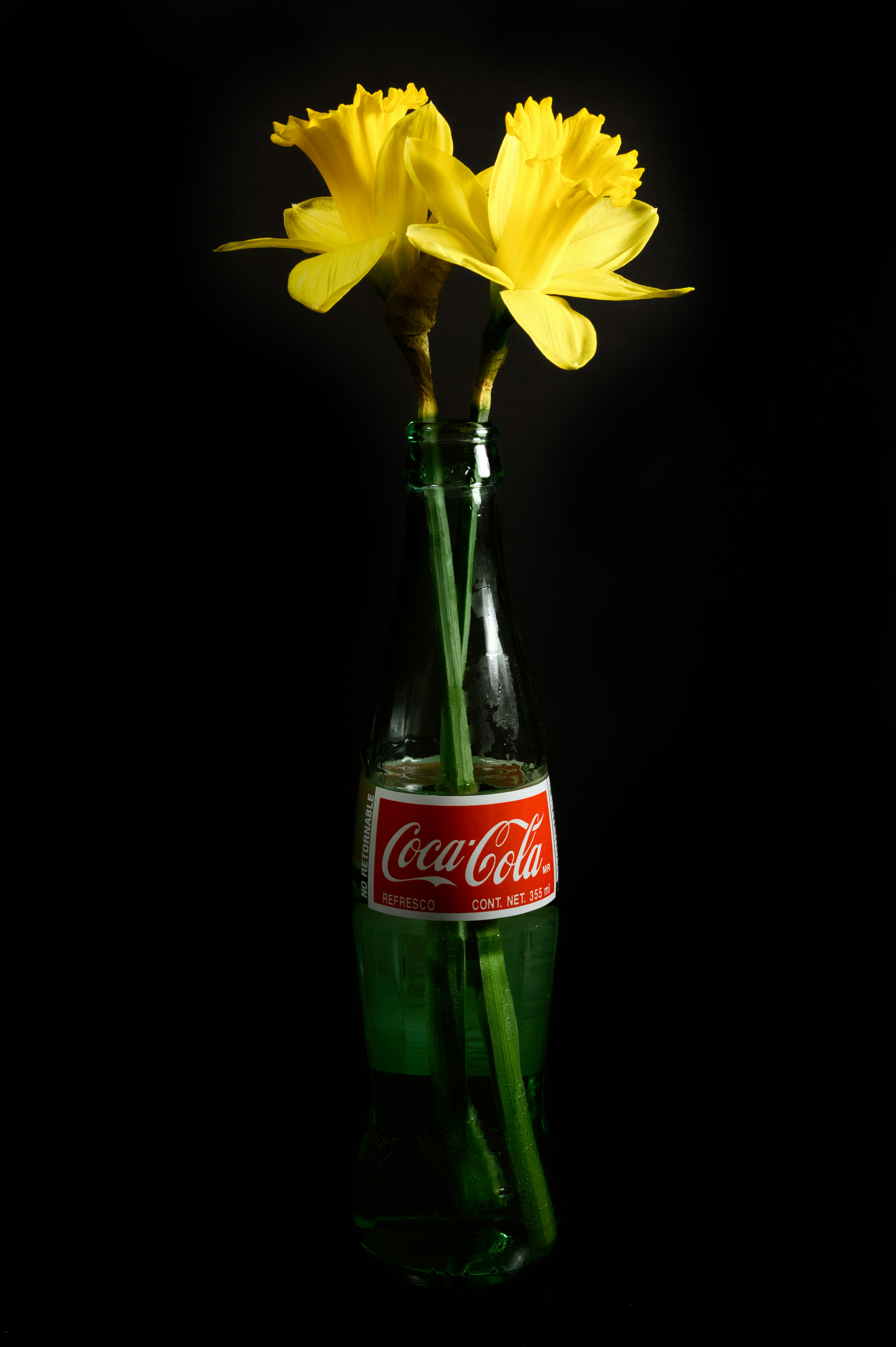 Daffodils Crown a Coca-Cola Vessel in Velvet Darkness