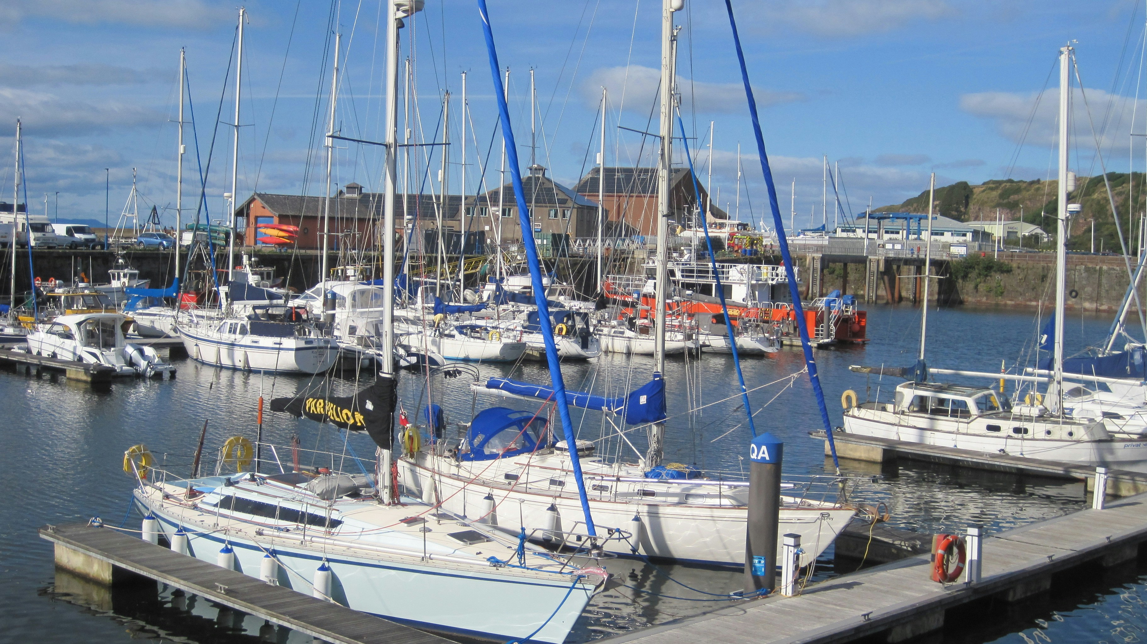 Sailboats docked in a bustling marina under a clear blue sky, showcasing the vibrant activity of a coastal town.