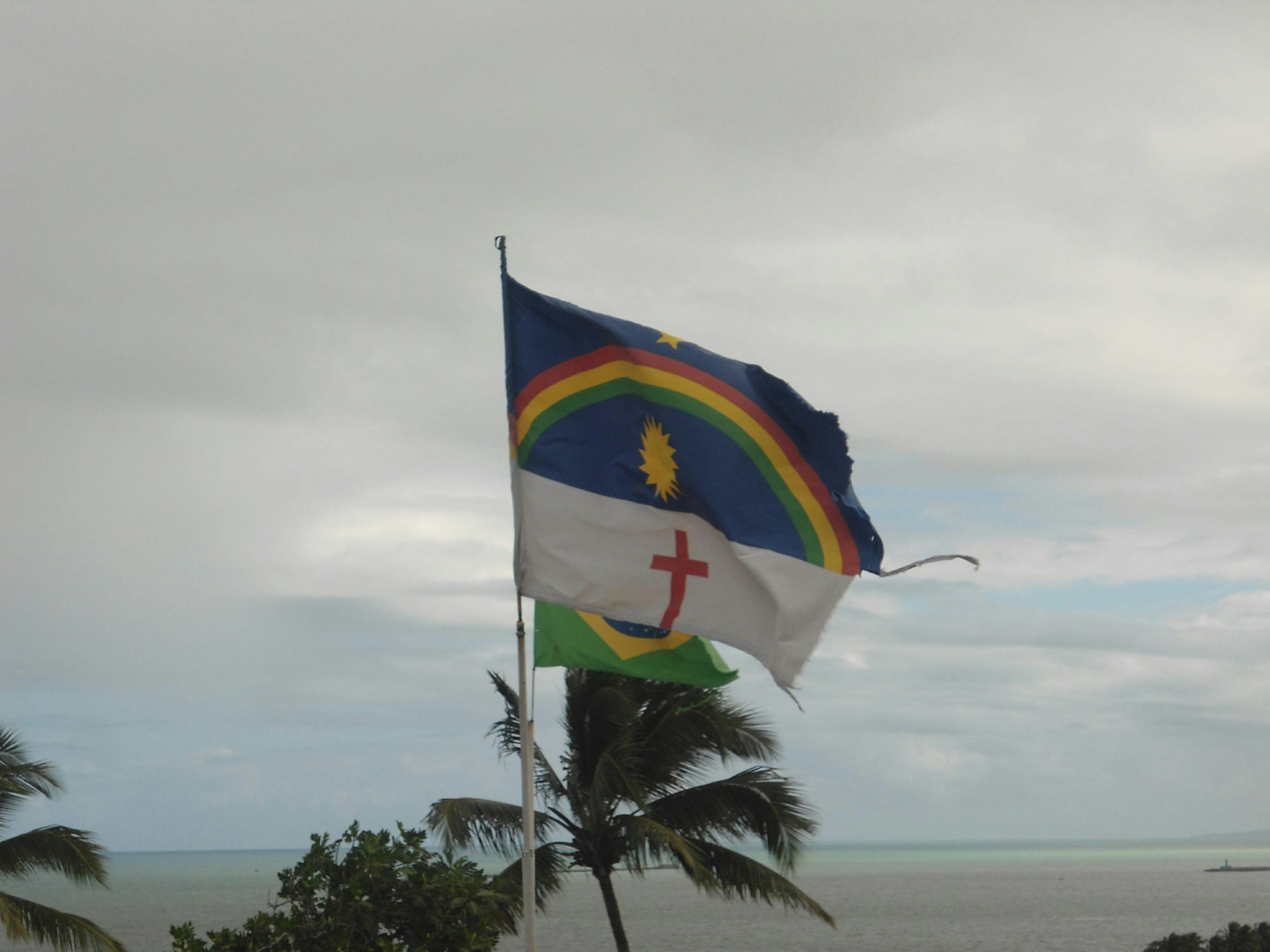 Flags fluttering in the wind near a calm ocean, with palm trees under a cloudy sky.