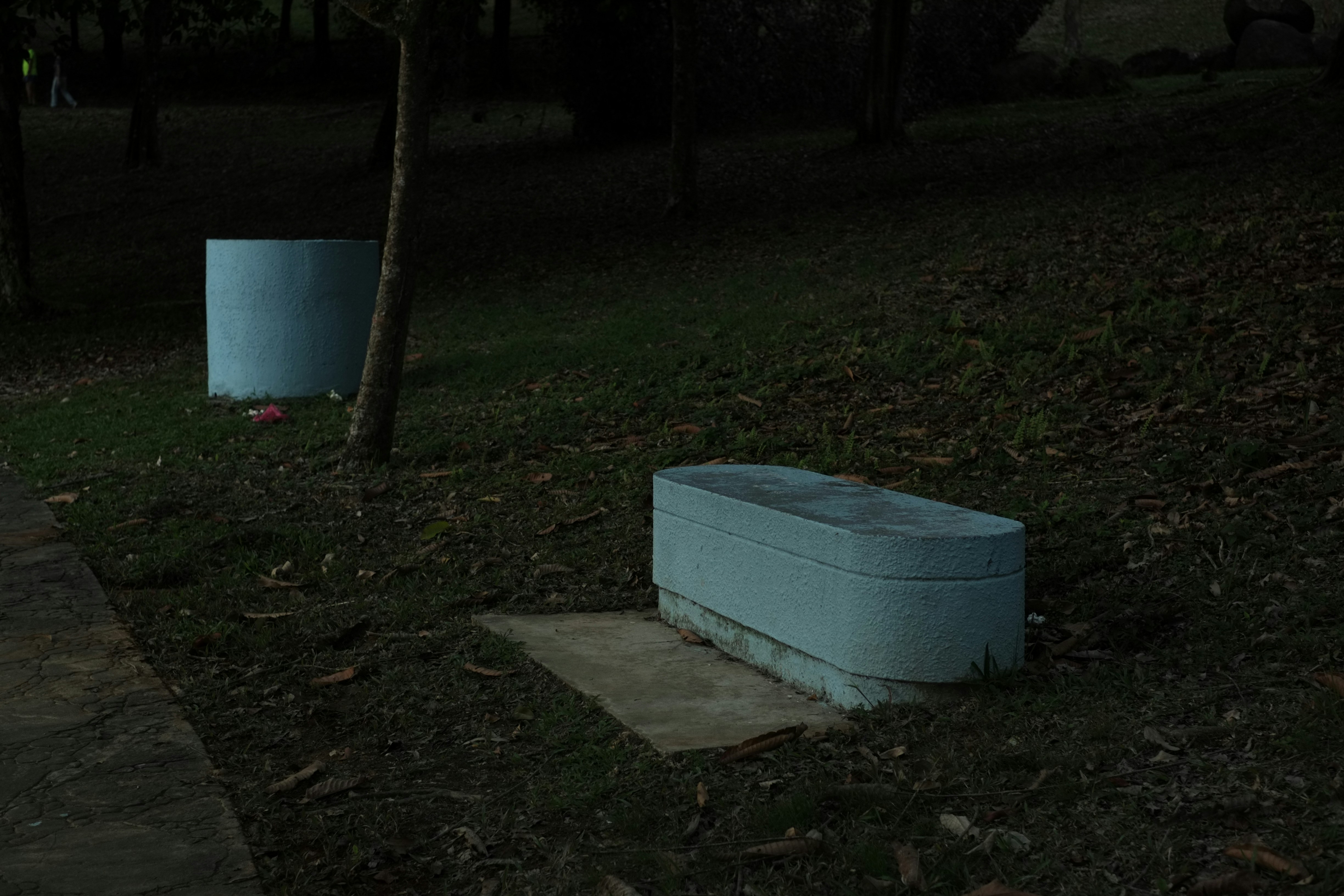 Azure Benches in the Shadowed Park