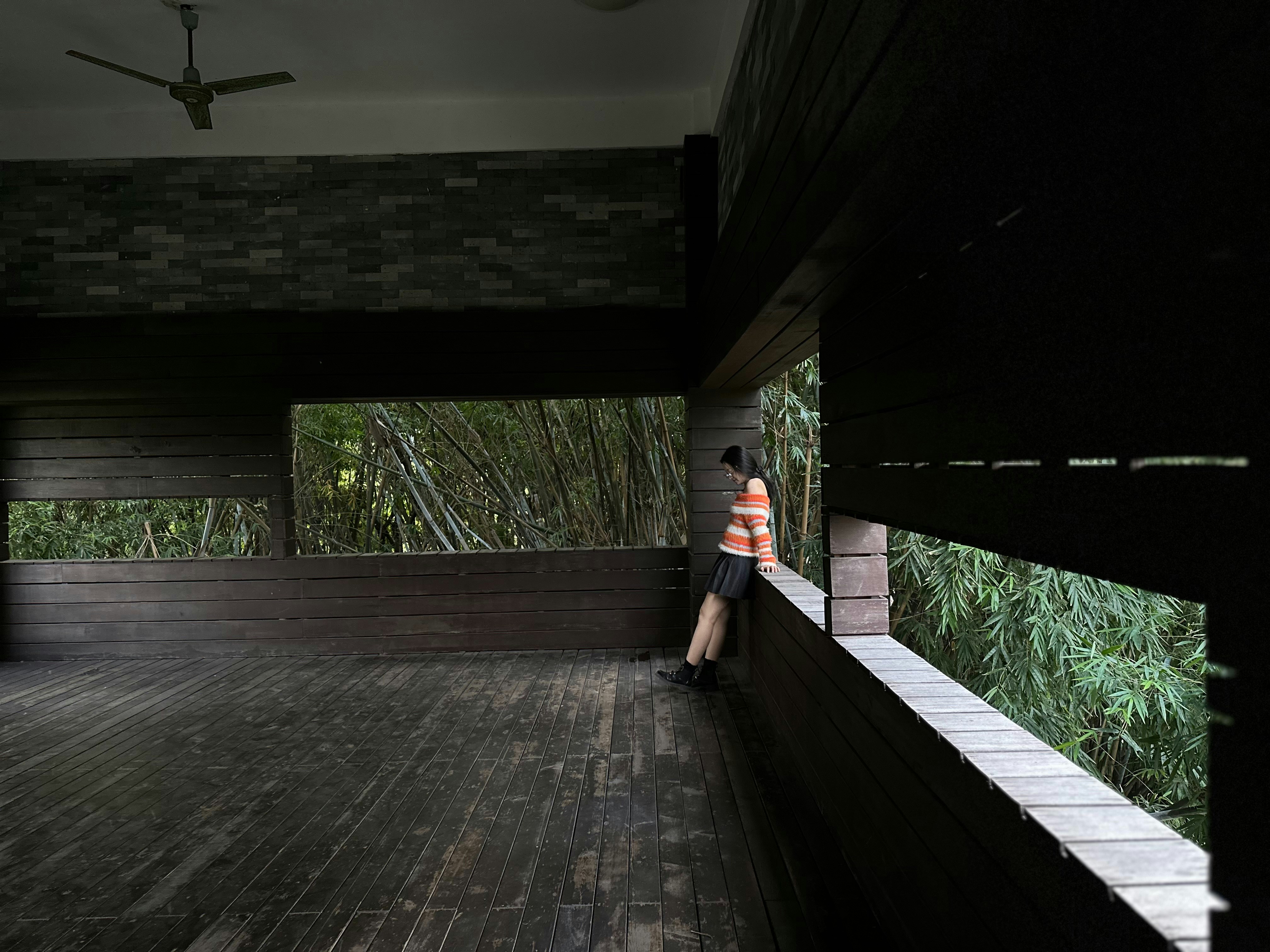 Lone Figure at the Timber Balcony Threshold, Framing a Green Tangle