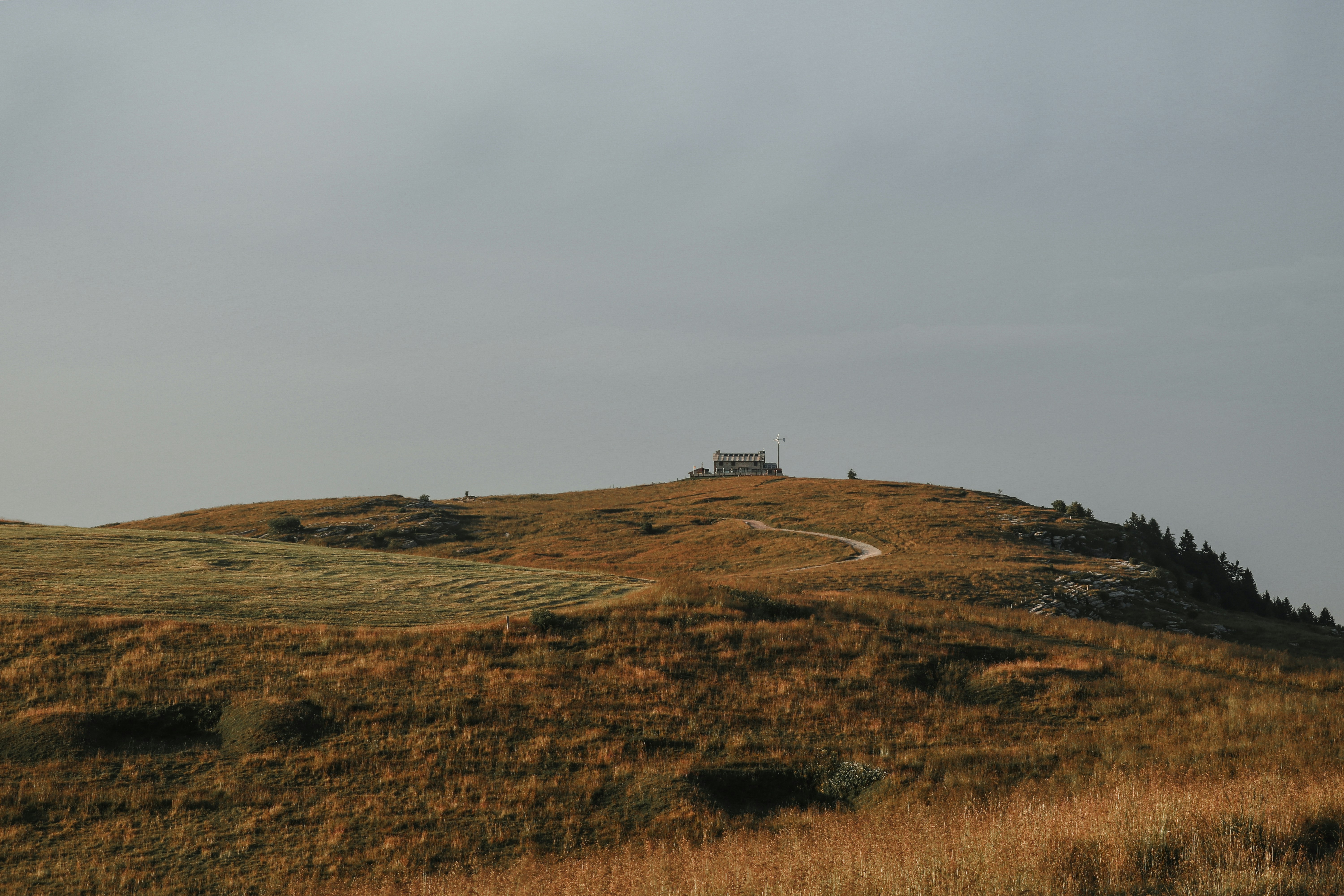 Lonely house perched atop a windswept grassy hill under an overcast sky.