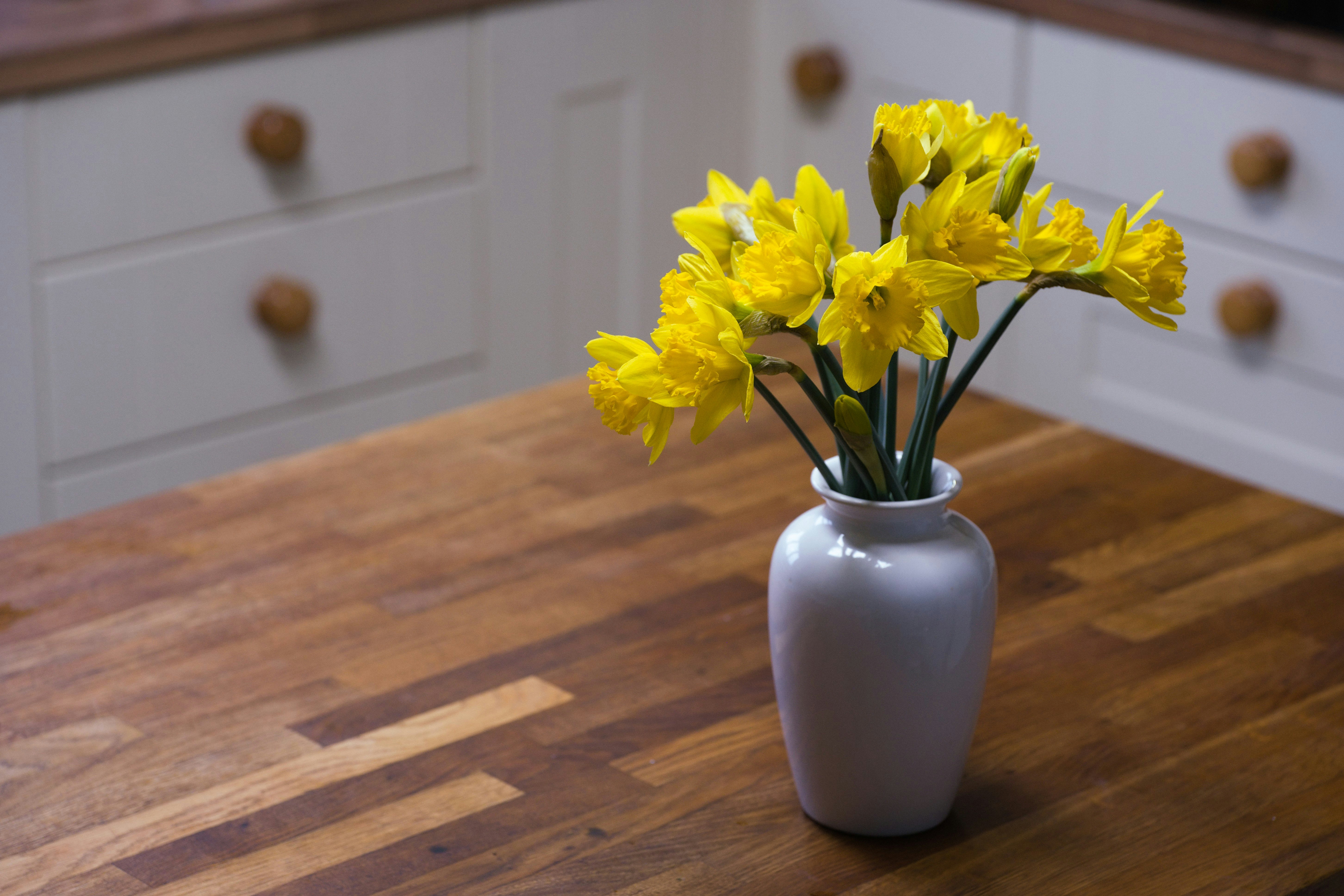 Daffodils in a Vase