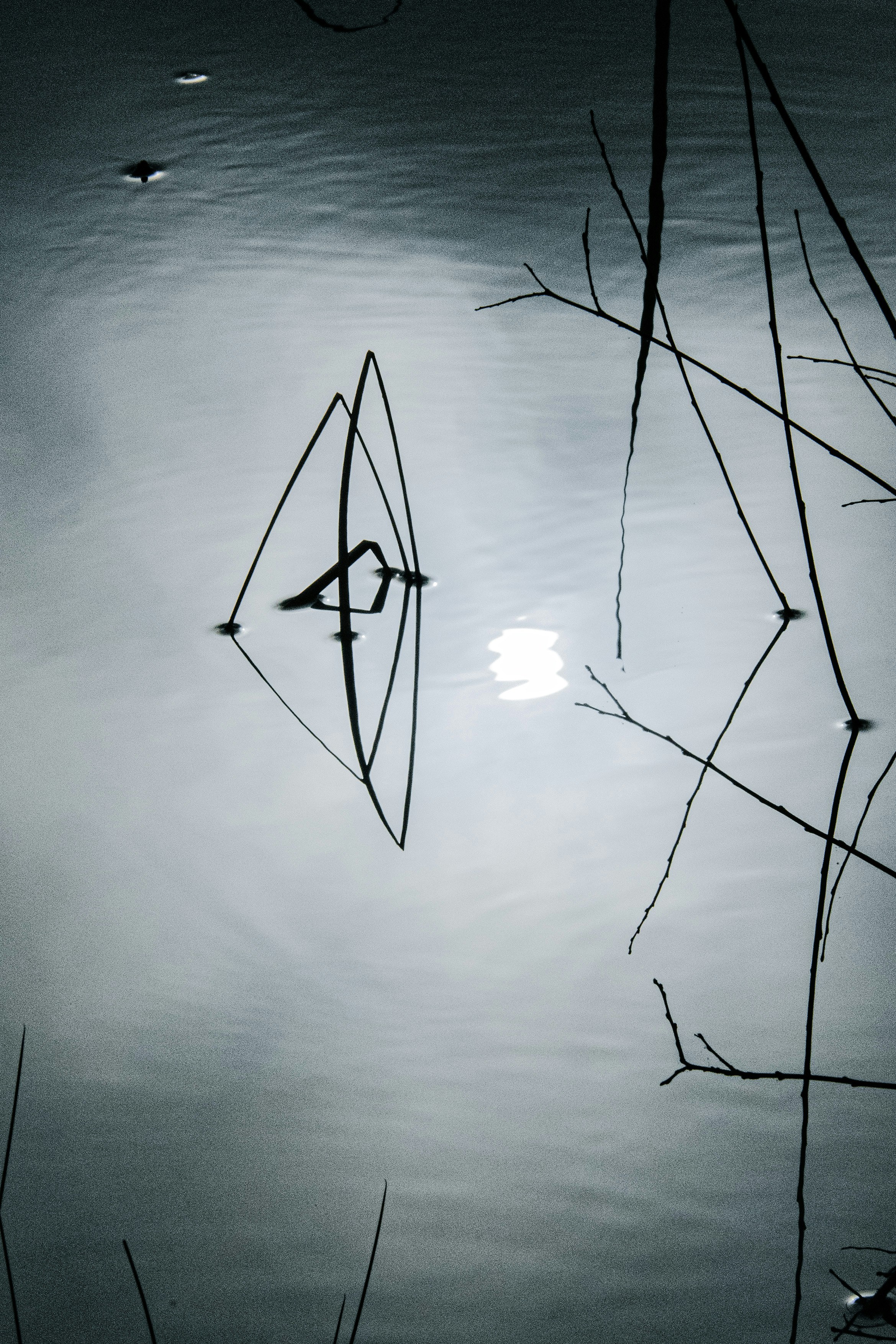 Geometric Reflections on Serene Waters