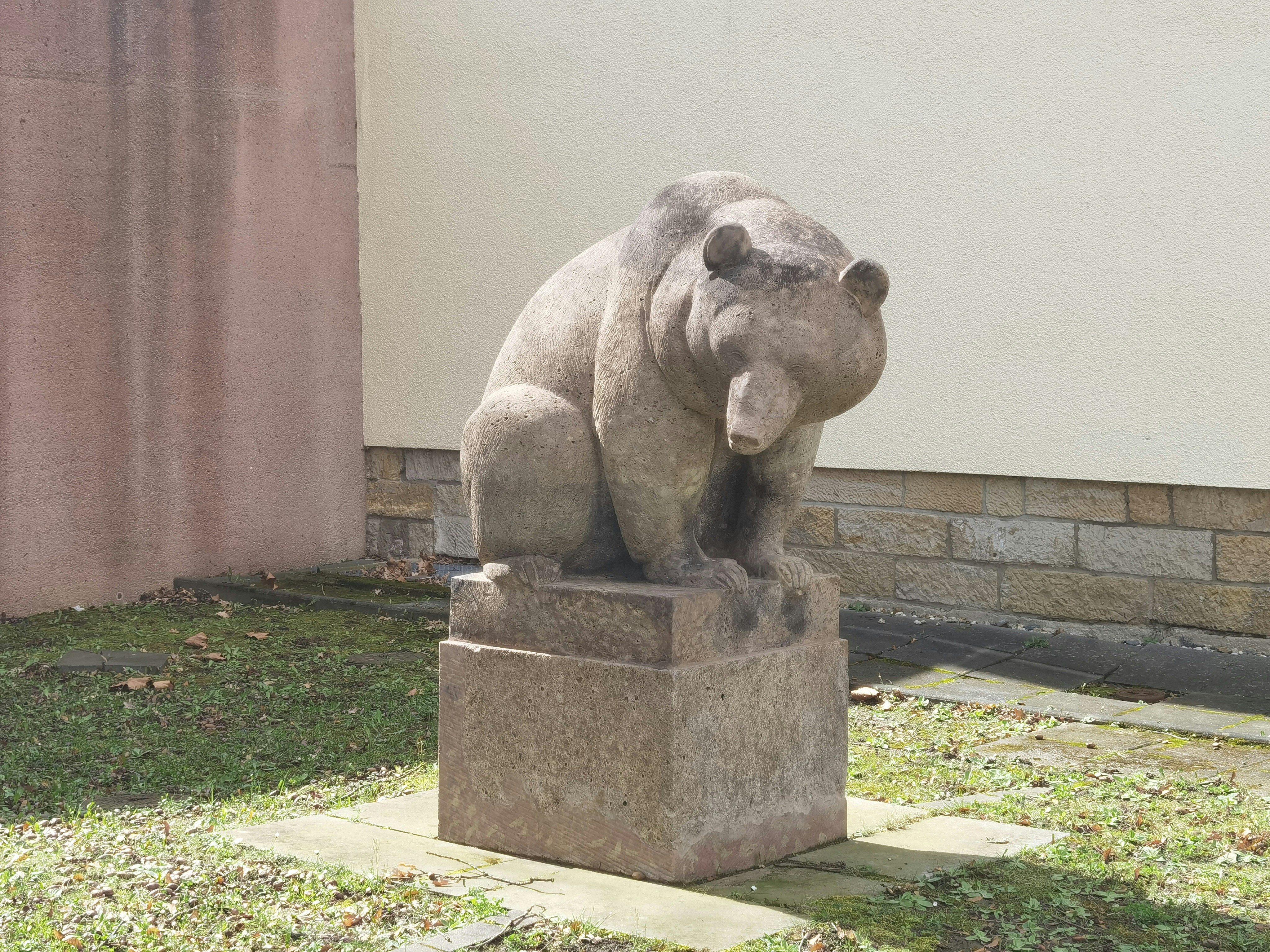 Photo by Jeffery Chen with Huawei P40 Pro