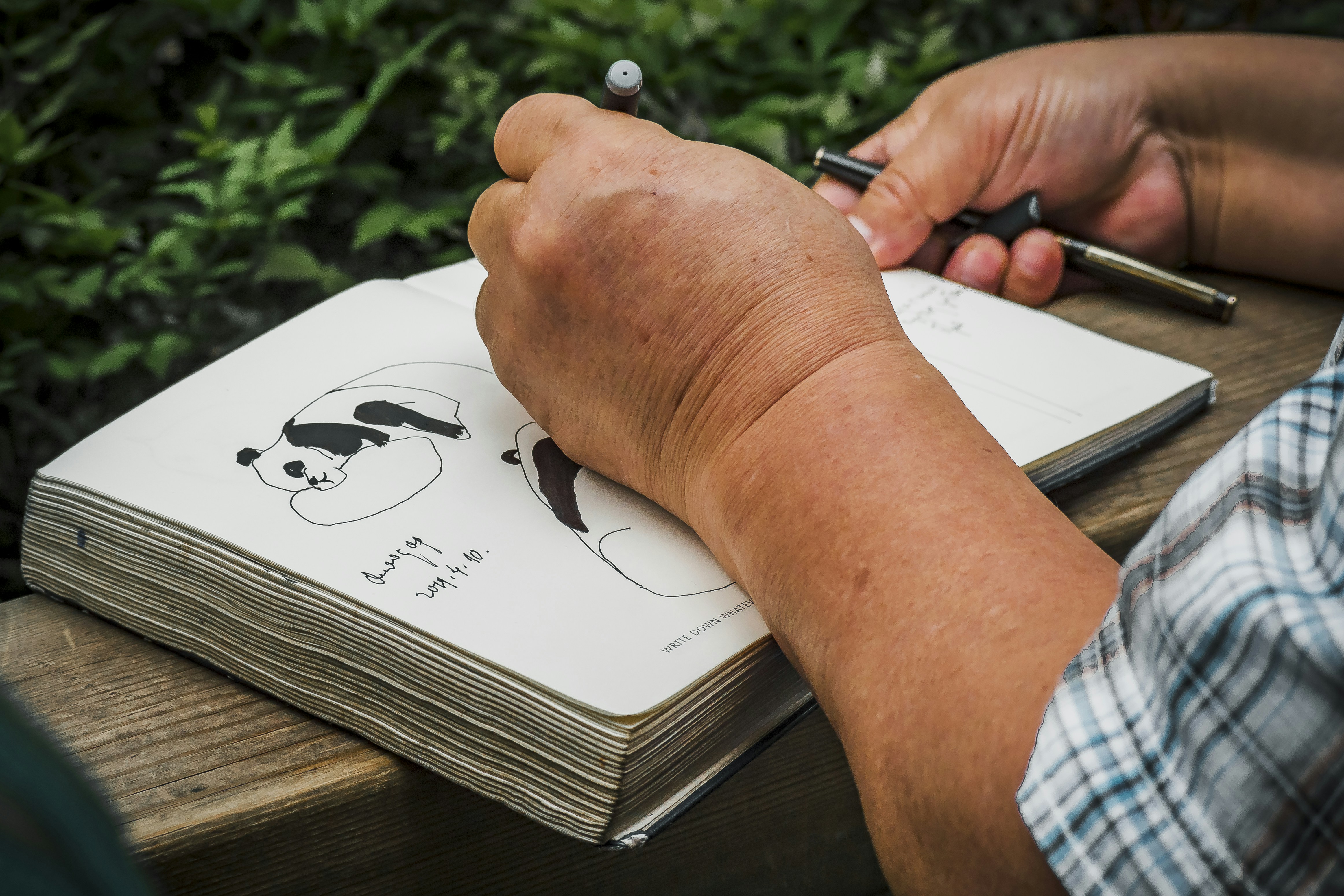 Panda Emerges from Ink: Outdoor Sketch on Weathered Wood