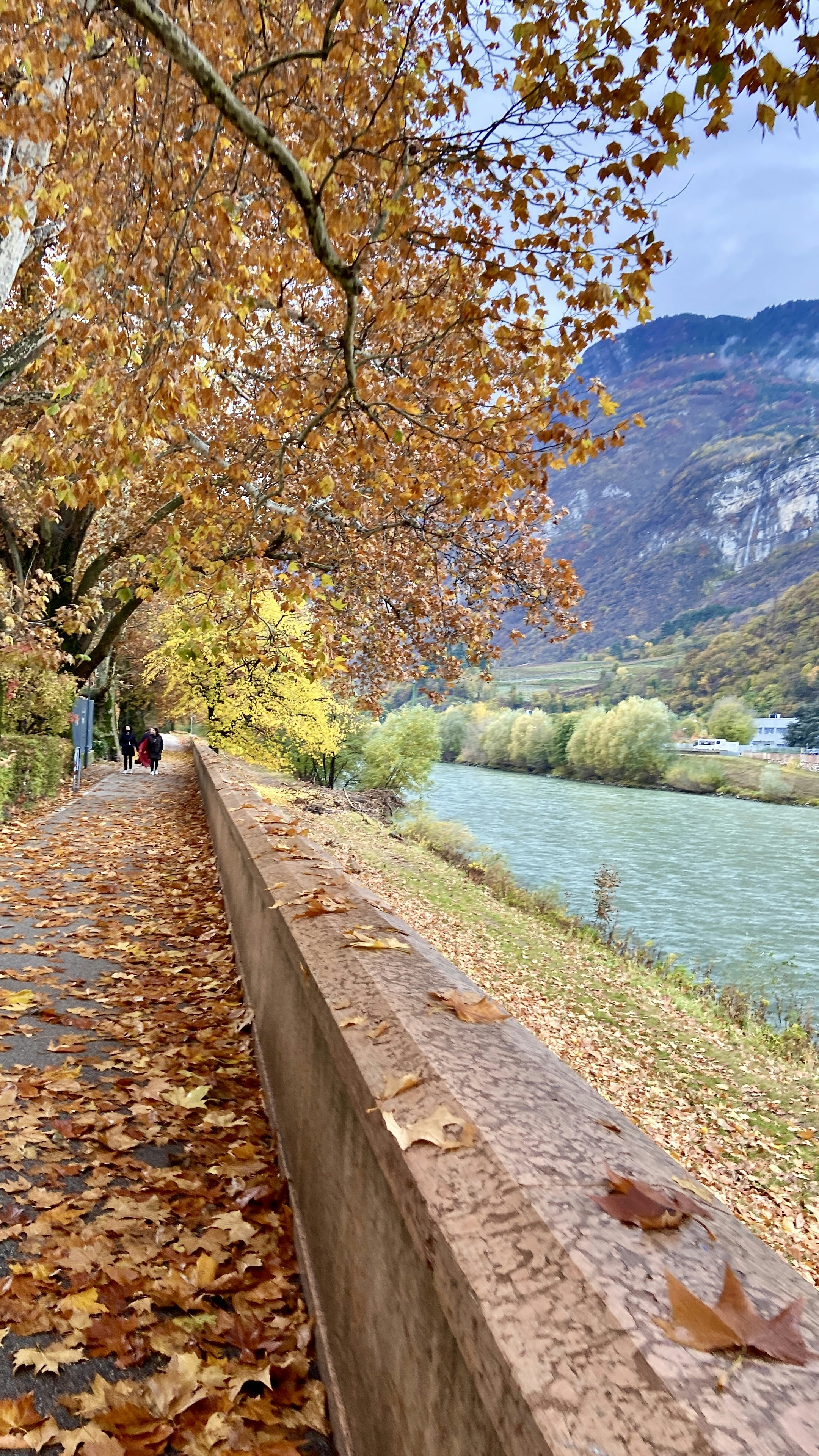 Pathway lined with autumn leaves and vibrant trees beside a flowing river, inviting leisurely walks.