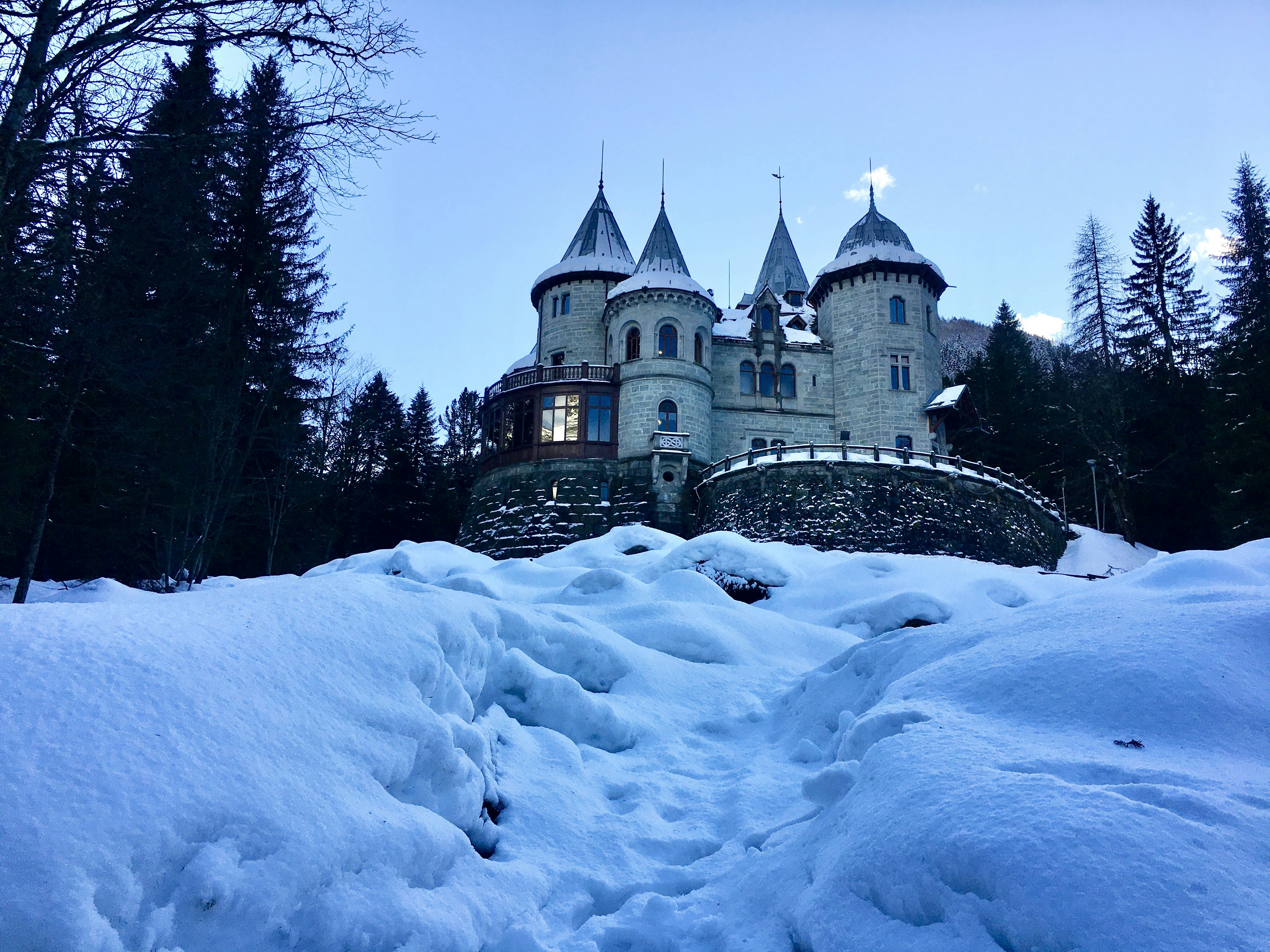 Snowbound Citadel: A Winter Crown at the Crest