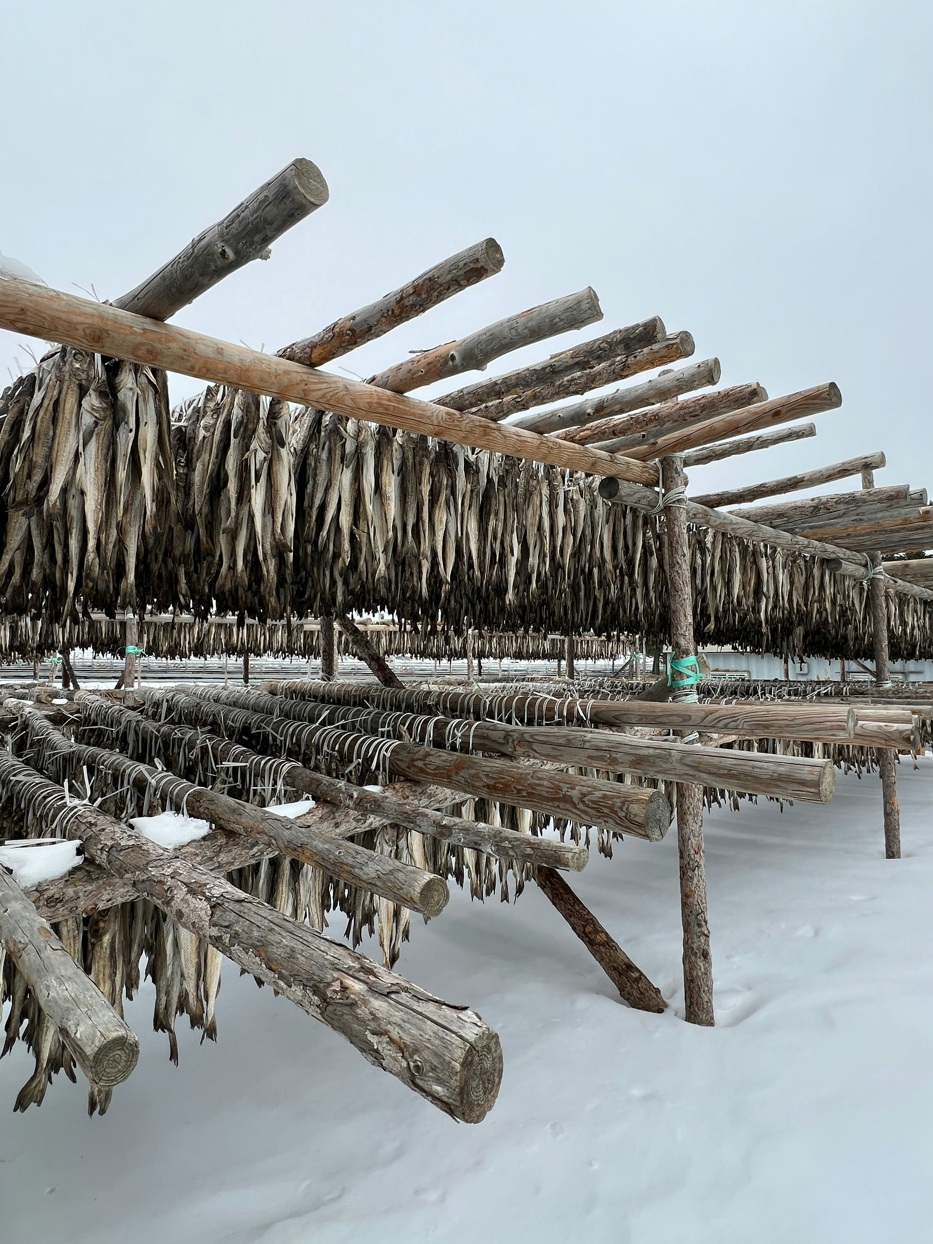 Snowlit Fish-Drying Racks against a Pale Sky