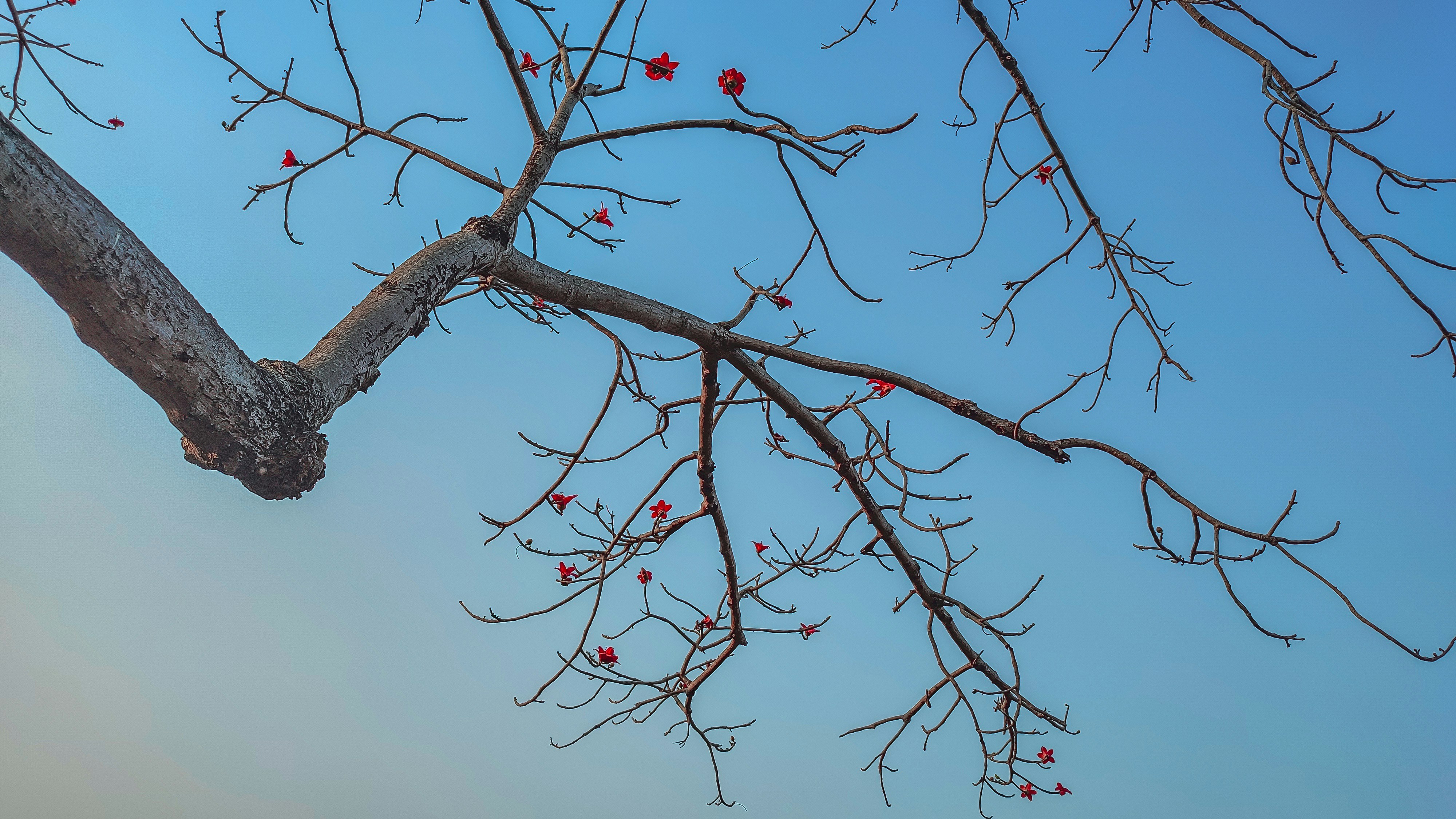 Photo by Soubhagya Satpathy with Xiaomi Redmi Note 10 Pro Max