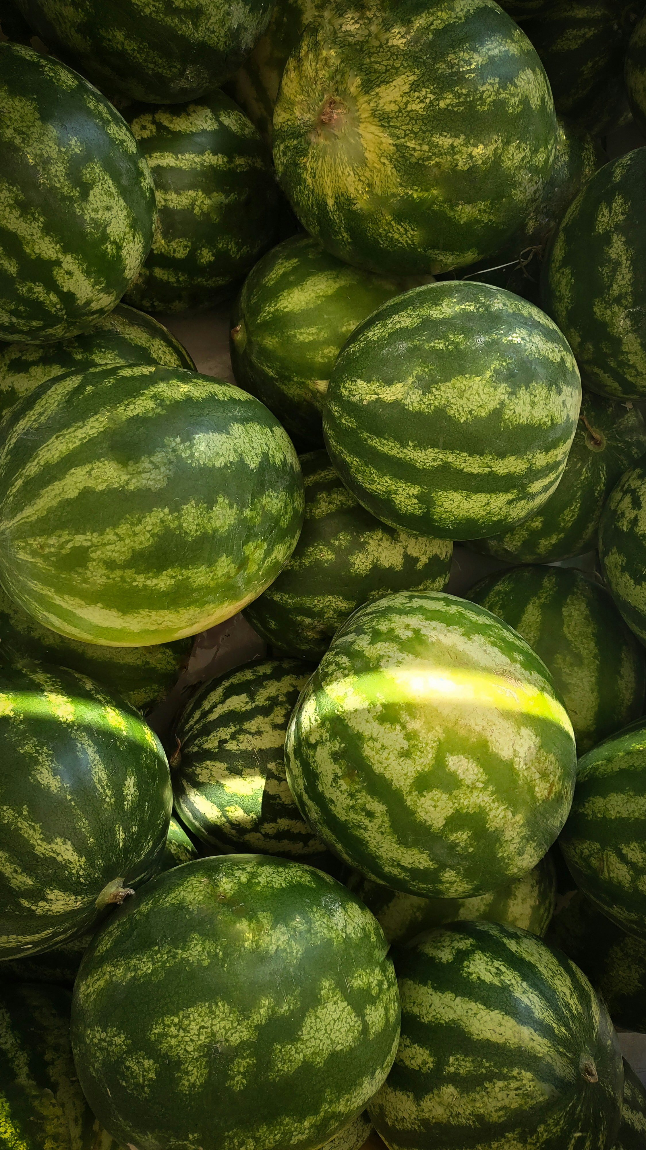 A pile of watermelons sitting next to each other photo – Free Green ...