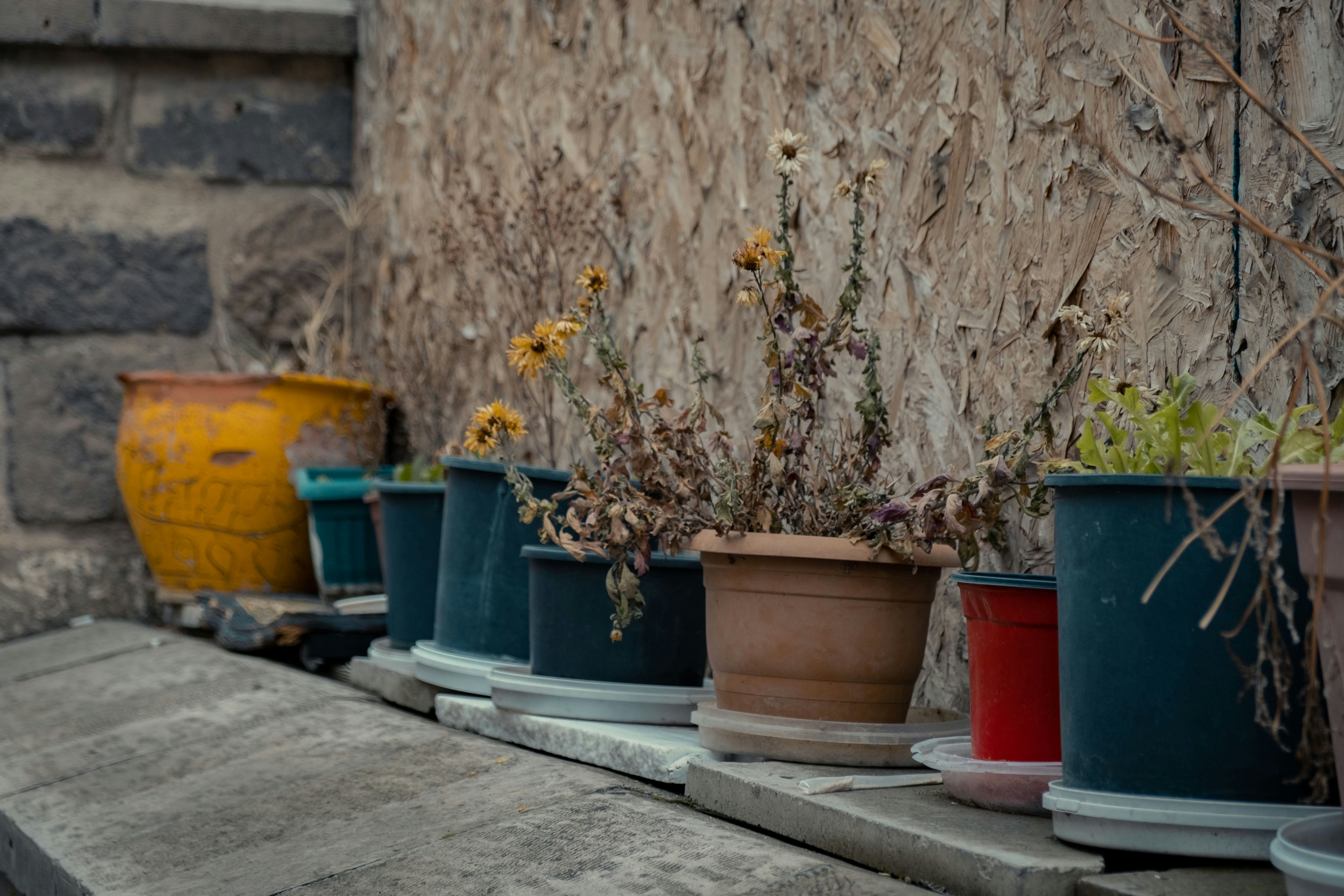 Photo by Zeynep Sude Emek with Fujifilm X-T4