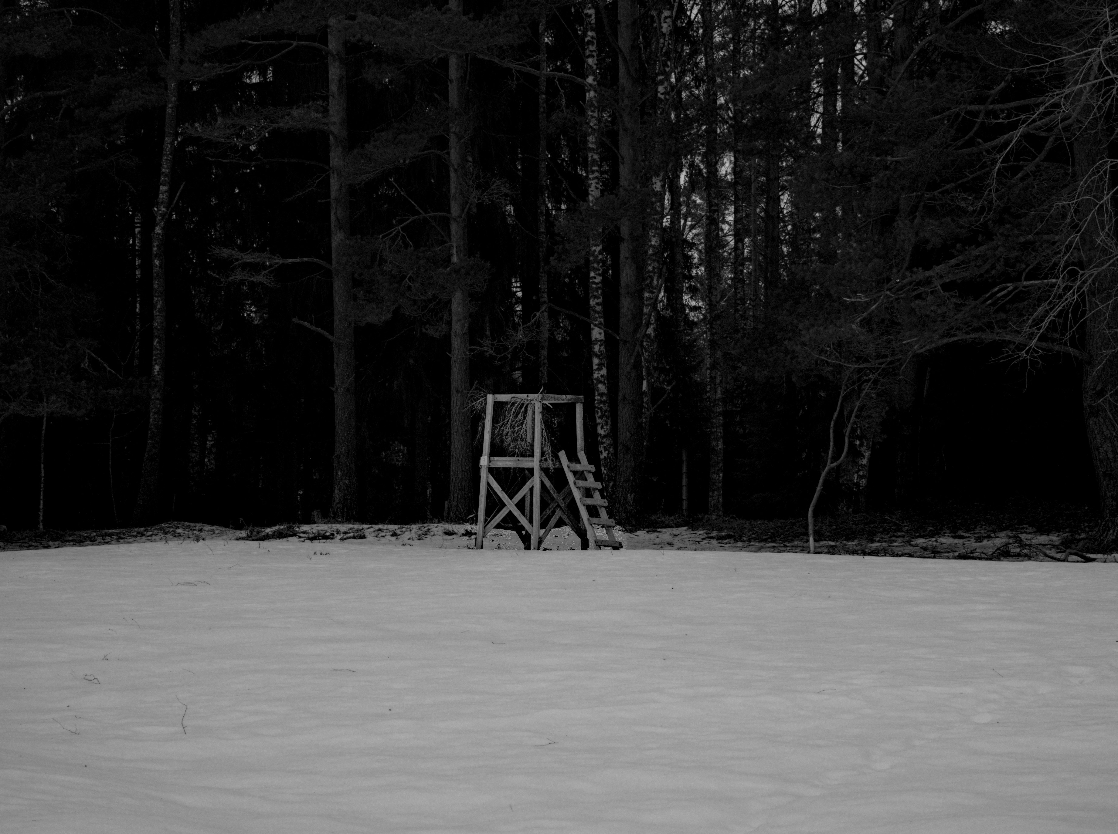 Watchtower on a Snowy Clearing, Framed by a Shadowed Forest