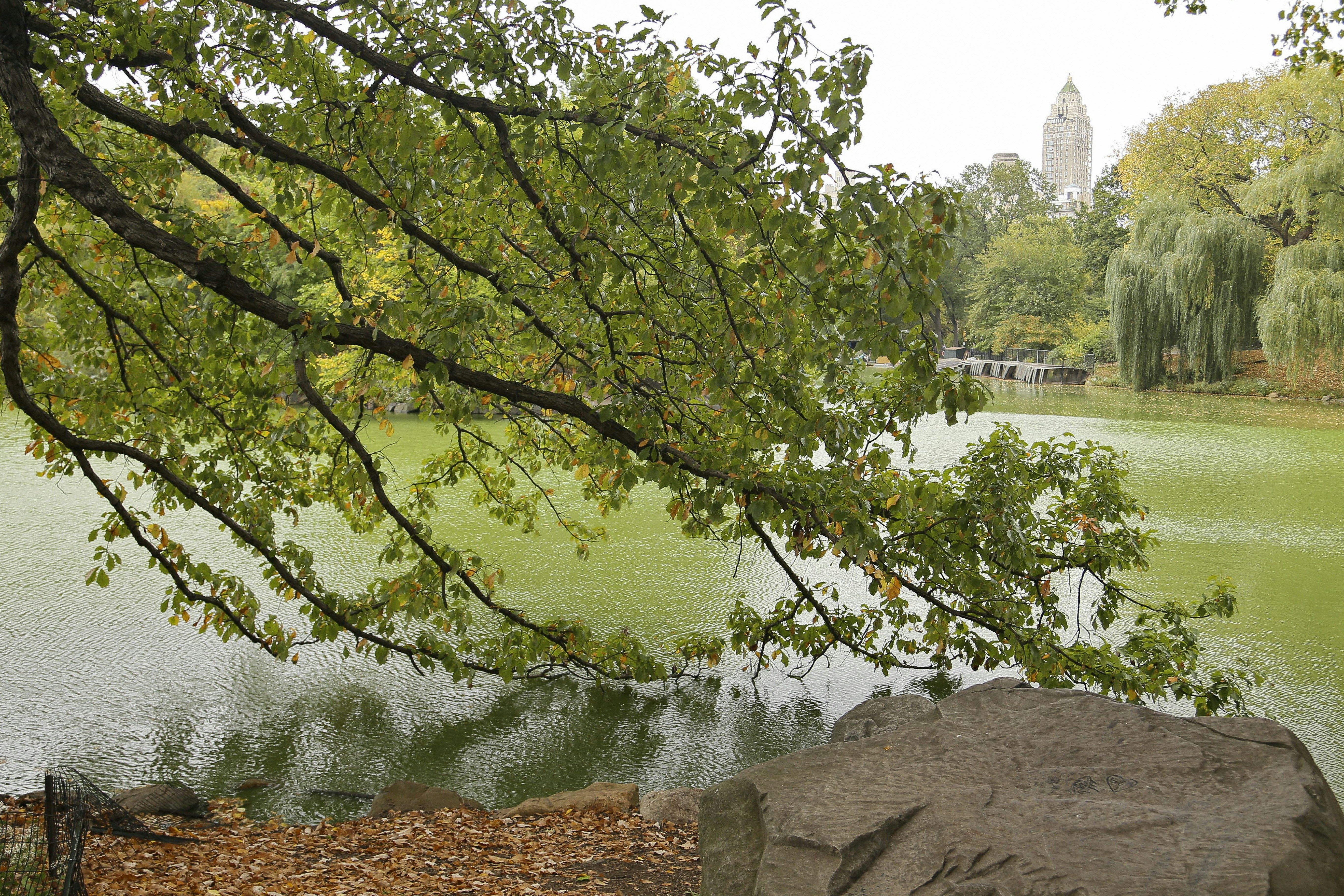 Un gros rocher assis au milieu d’un lac photo – Image gratuite de Parc ...