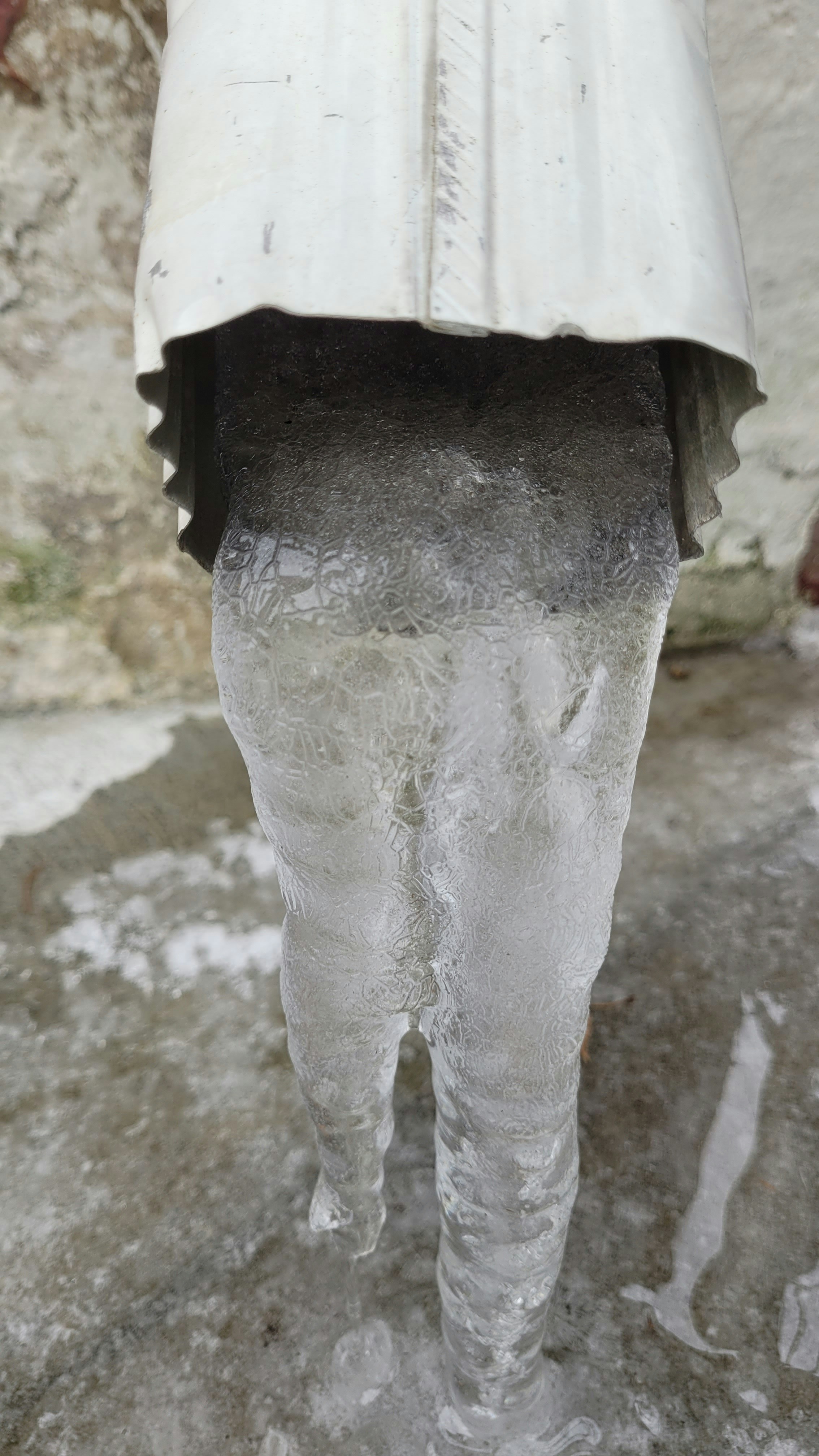 Close up of the texture of ice, emerging like a snake tongue from a gutter drain pipe.
