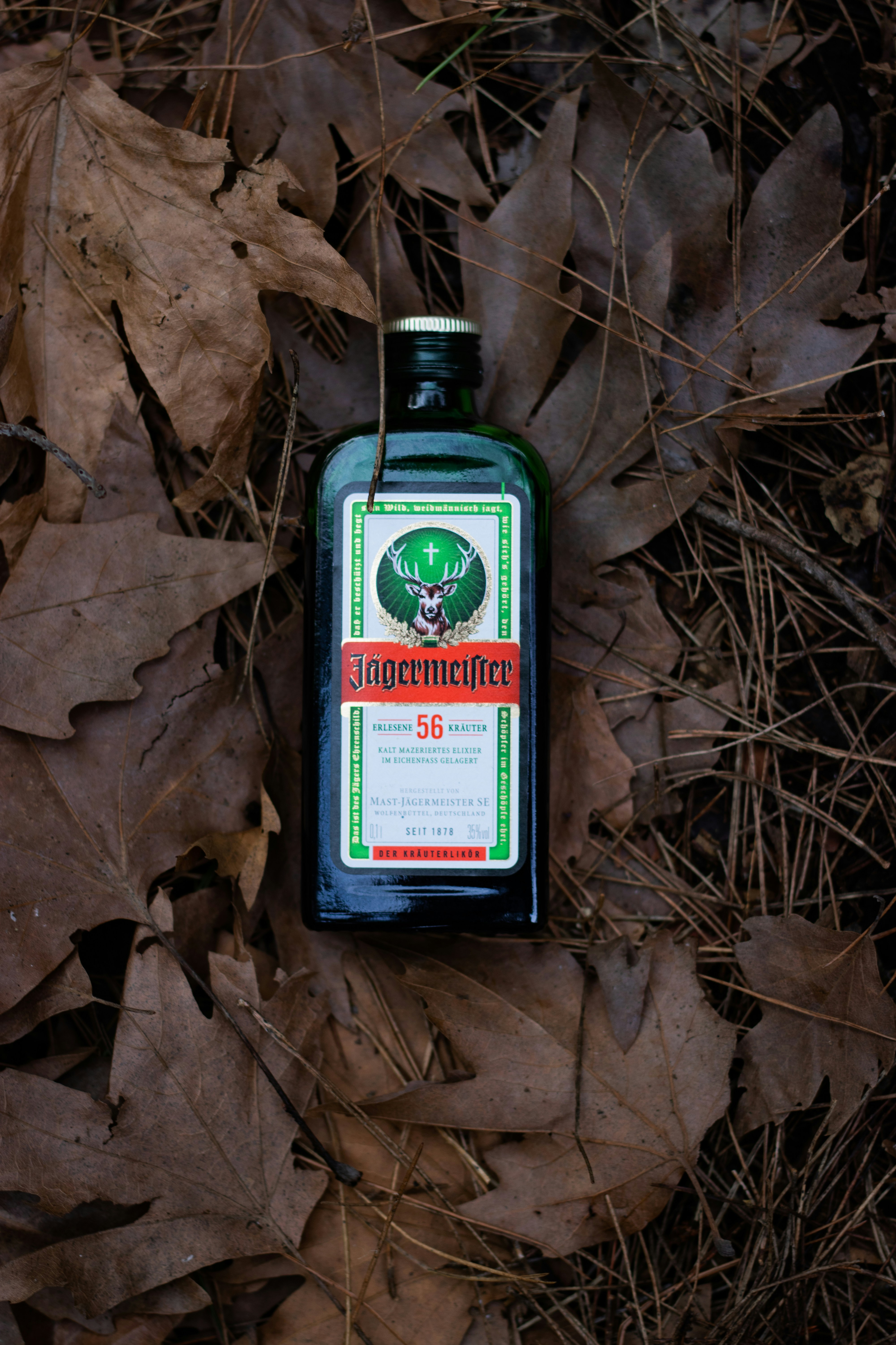 Emerald Bottled Nightfall: Jägermeister Among Fallen Leaves