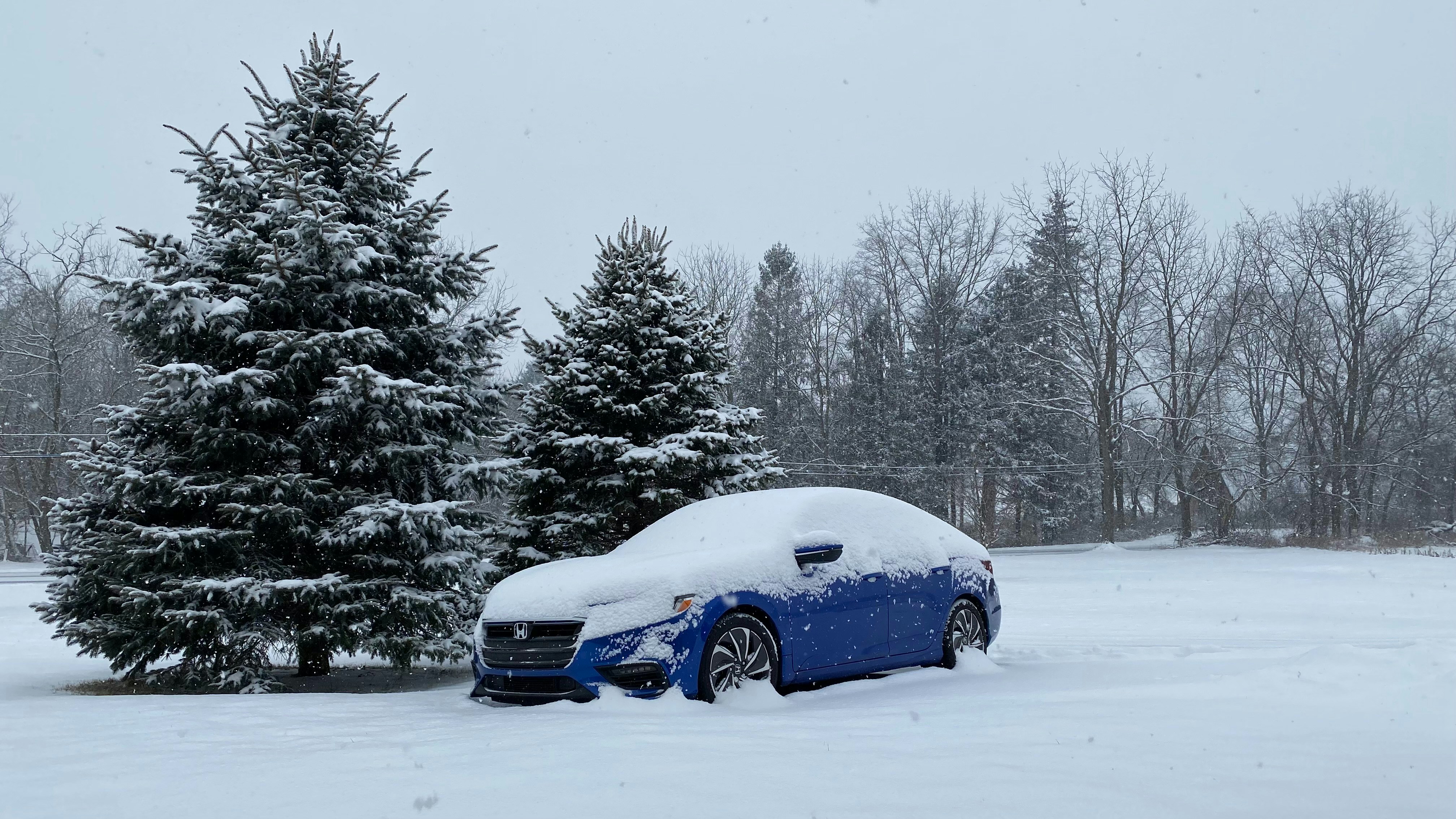 Snowbound Blue: A Car Quietly Anchored Among Frosted Pines