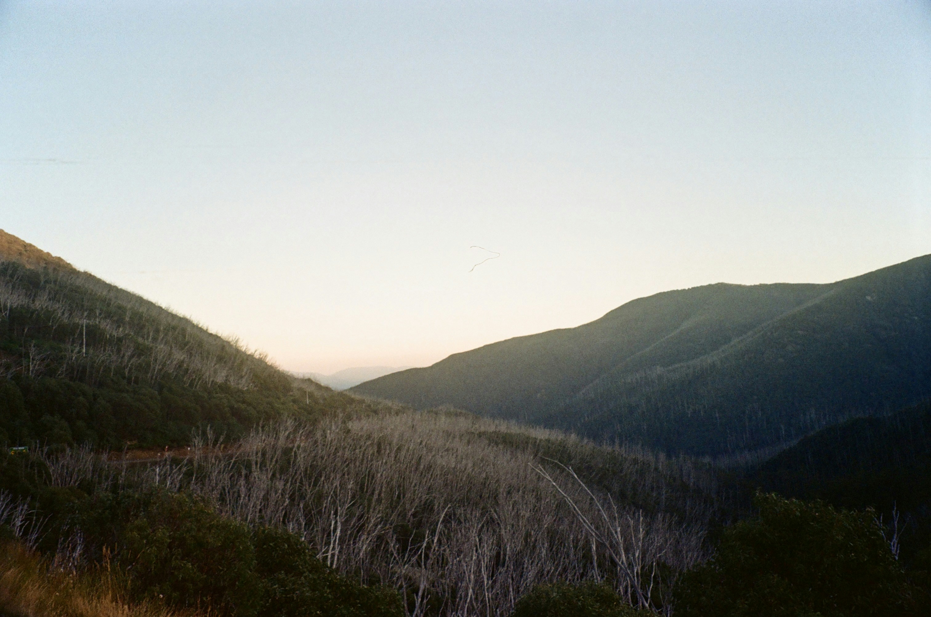 Dawn Over Ghost Pines: A Quiet Valley Between Ridges
