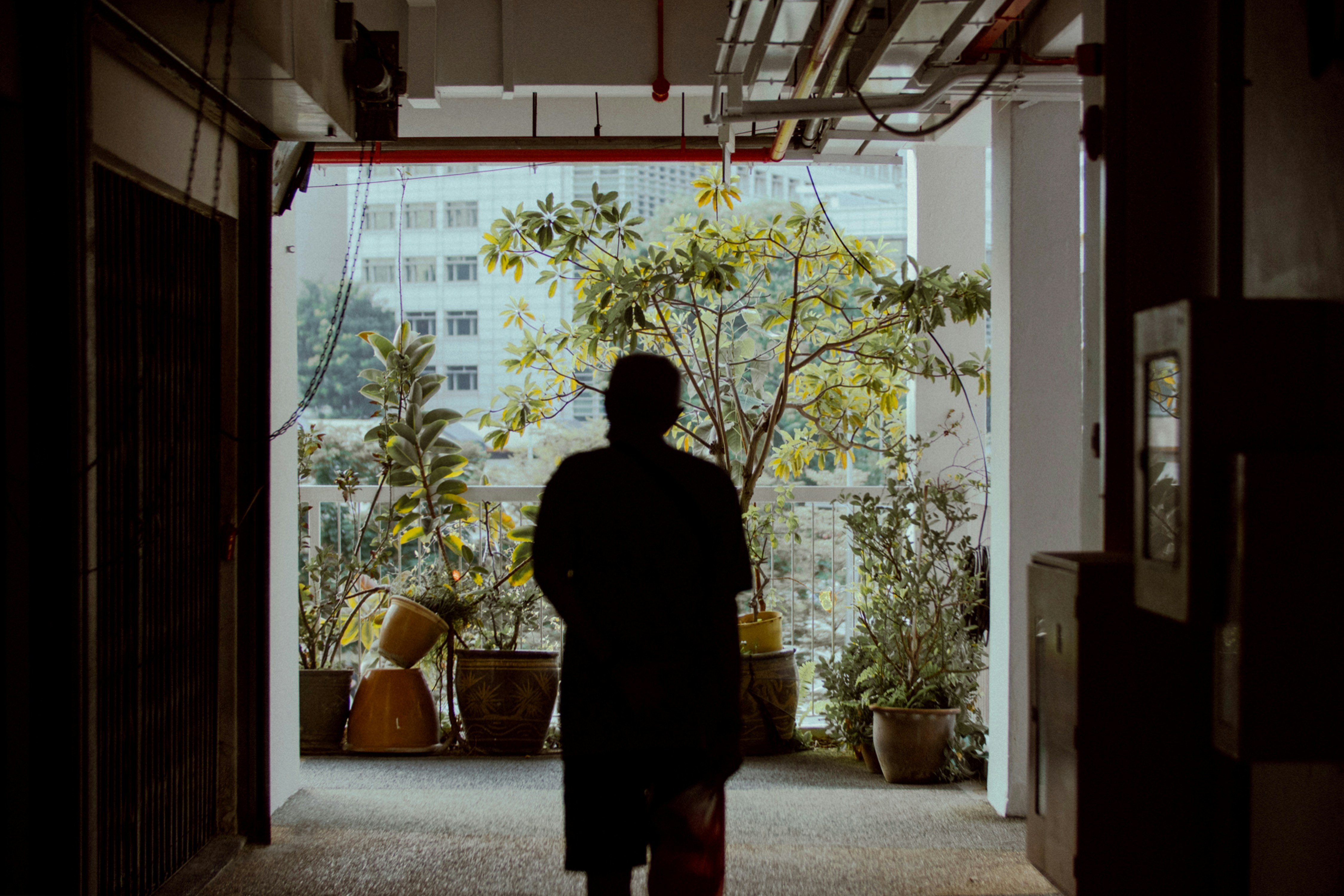 Threshold Light: A Figure Emerges into a Sunlit Courtyard