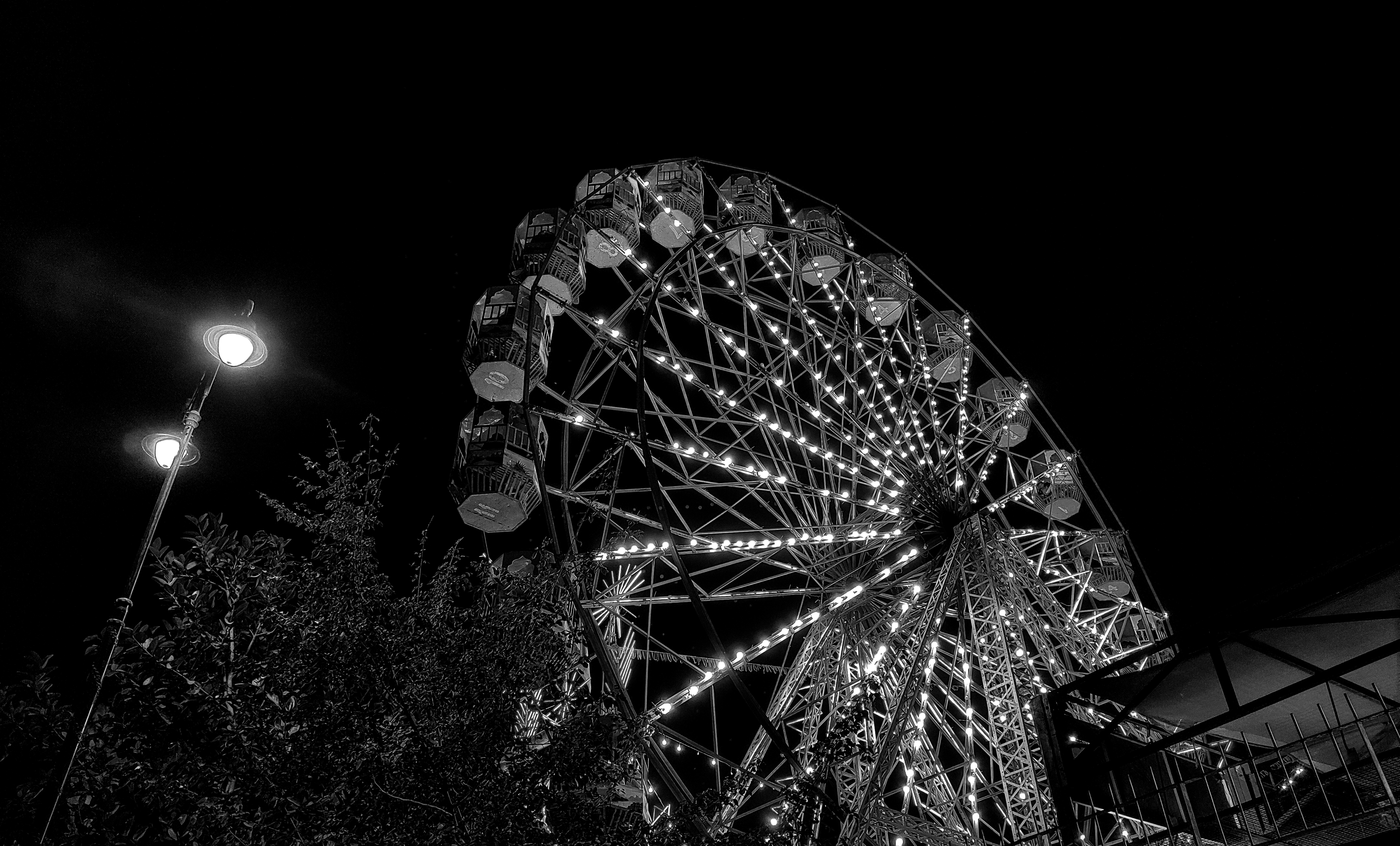 Black and white ferris wheel illuminated against a night sky, surrounded by silhouetted trees.