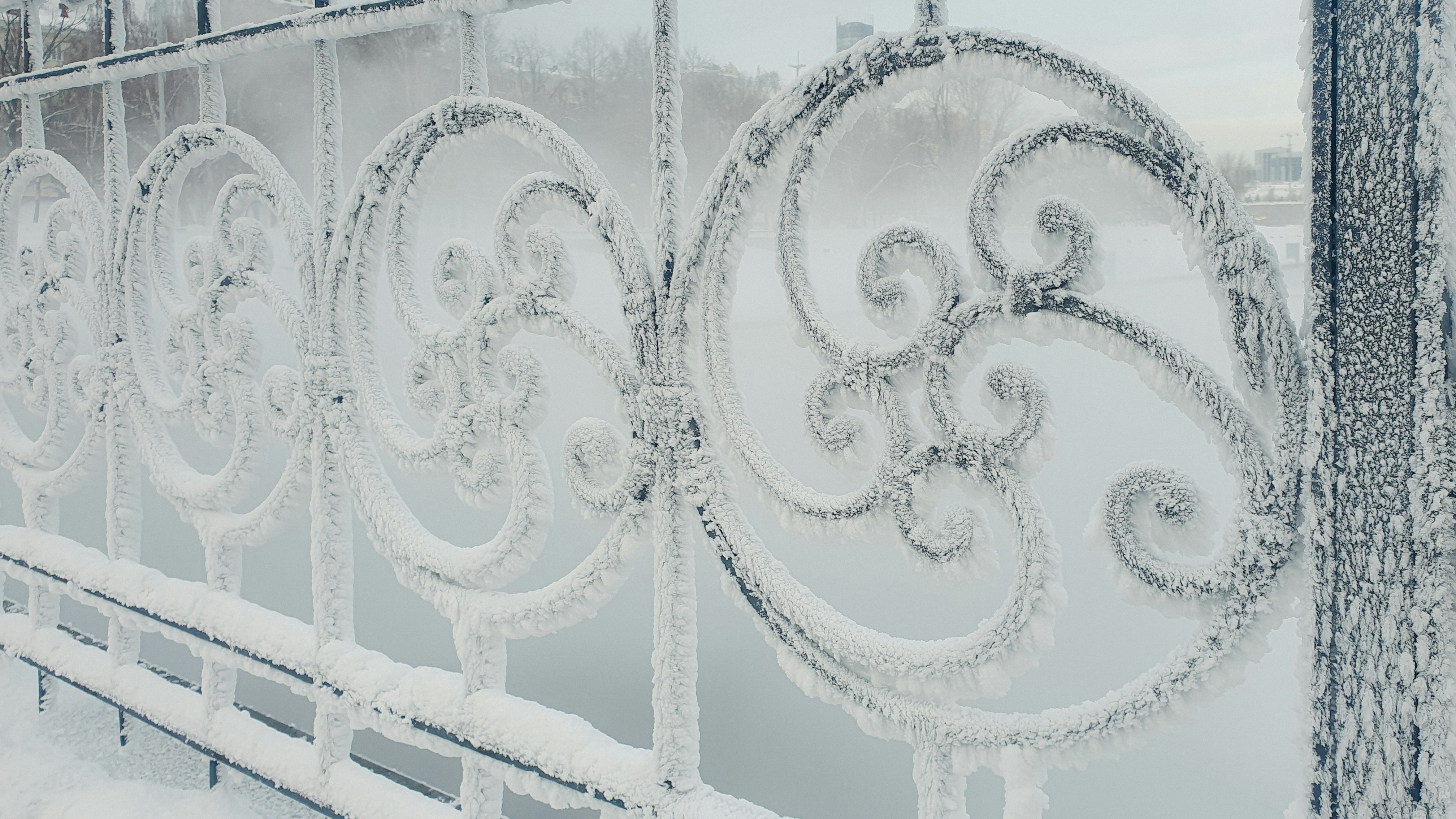 Lace of ice: frost-fringed ironwork along a winter railing