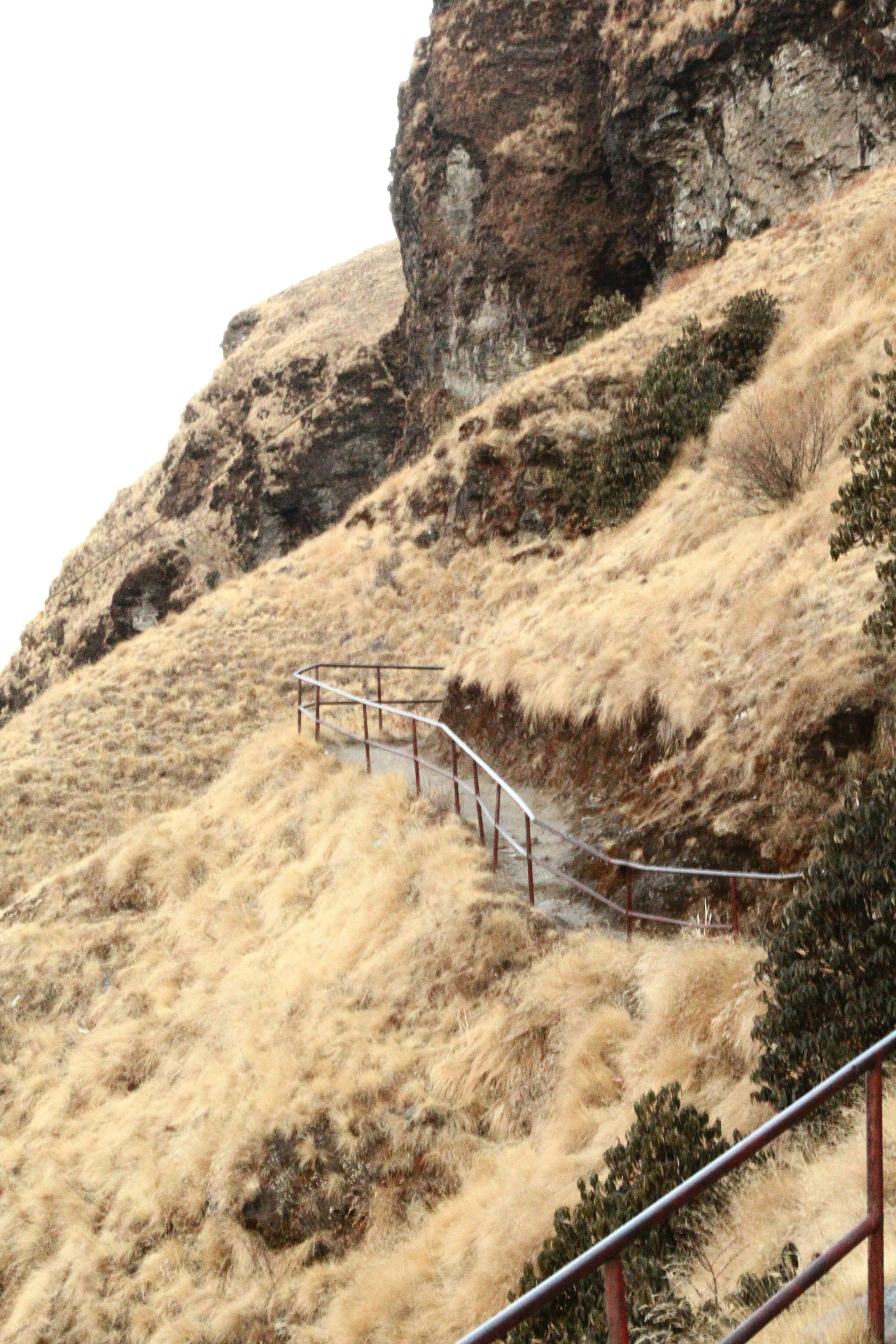 Cliffside Railing Through Golden Grass: A Quiet Ridge Trail
