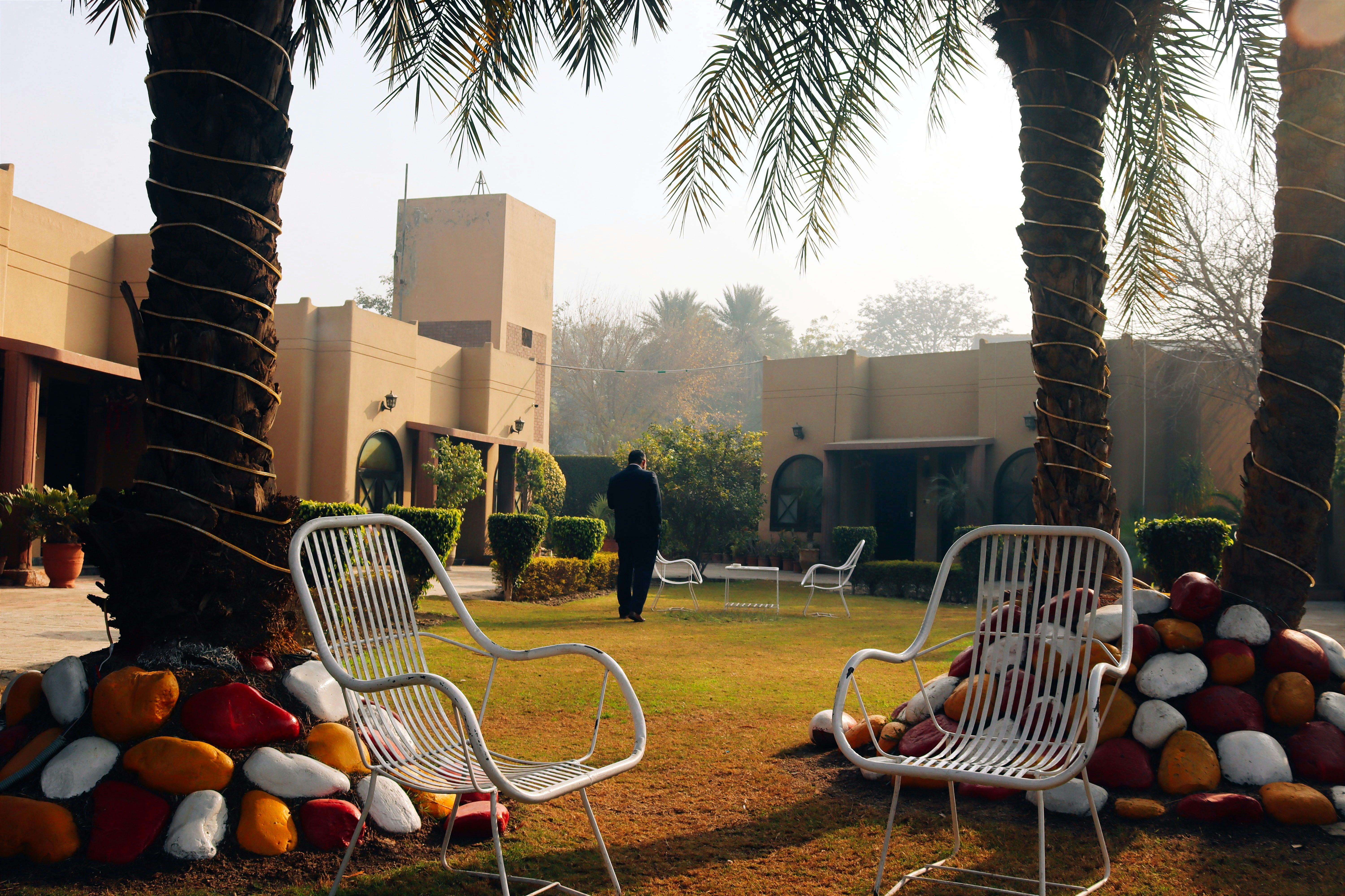 Silhouette in the Palm Courtyard: Quiet Geometry Around Painted Stone Rings