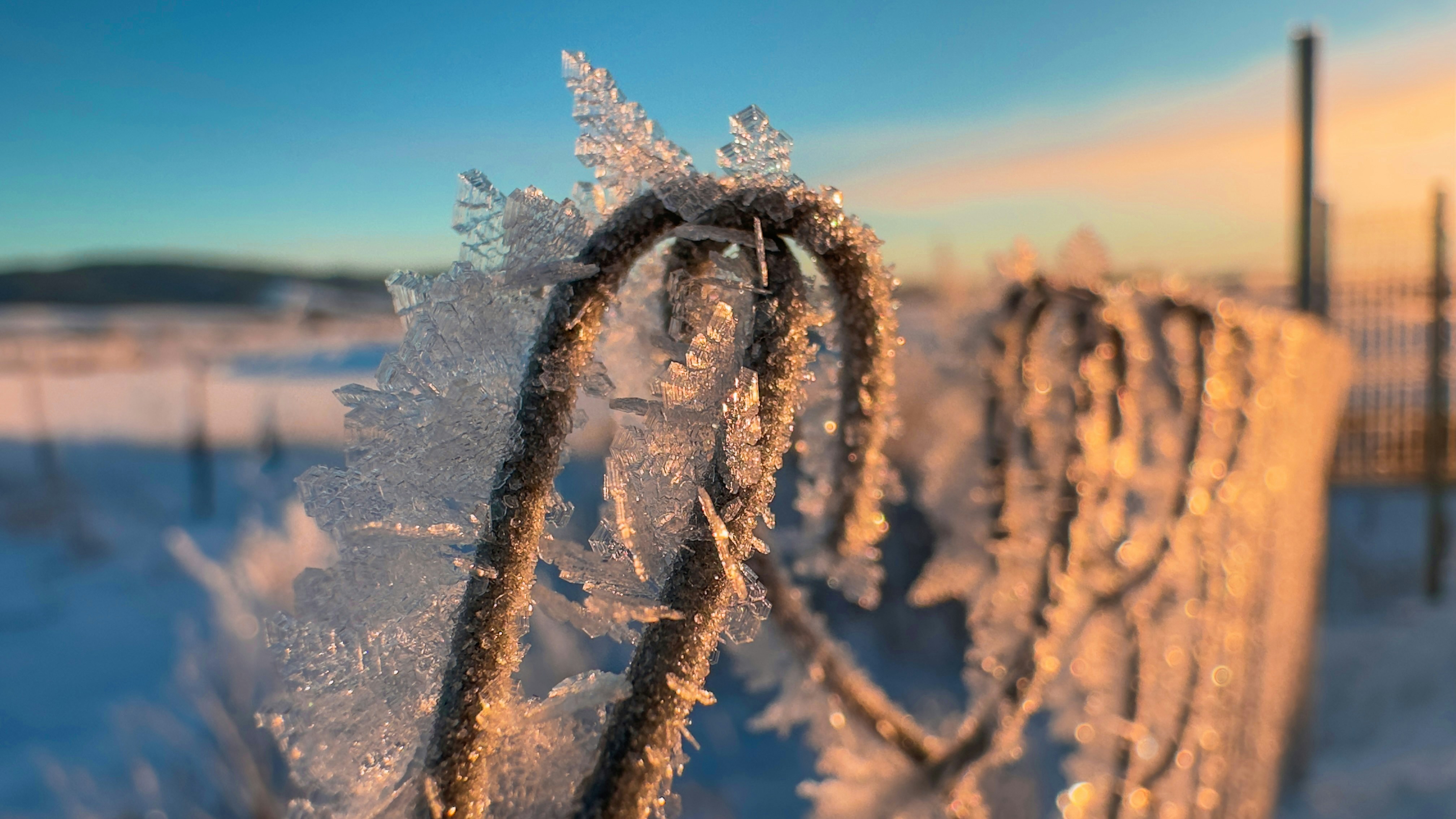 Frozen metal