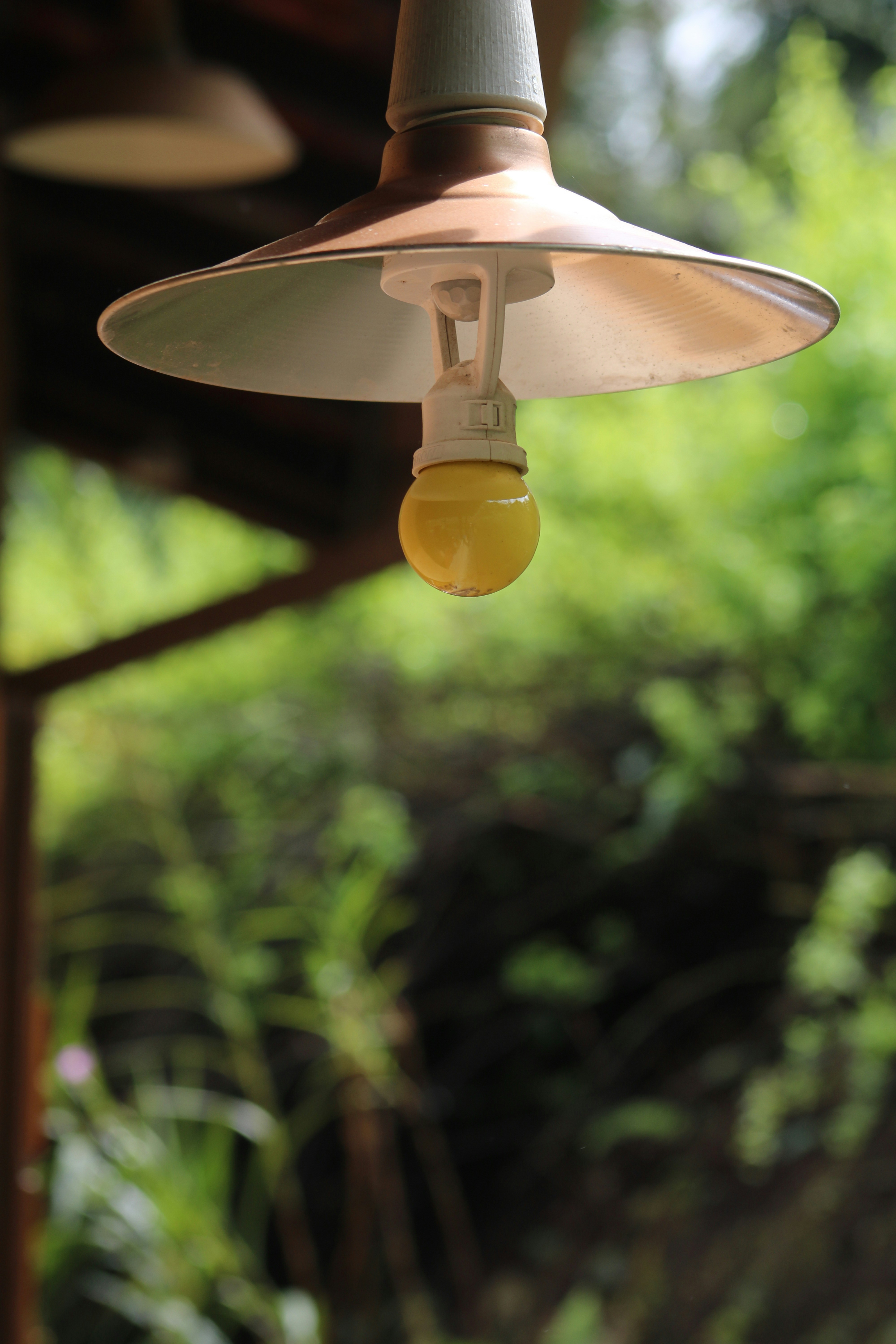 Photo by Joel Oliveira with Canon EOS 750D