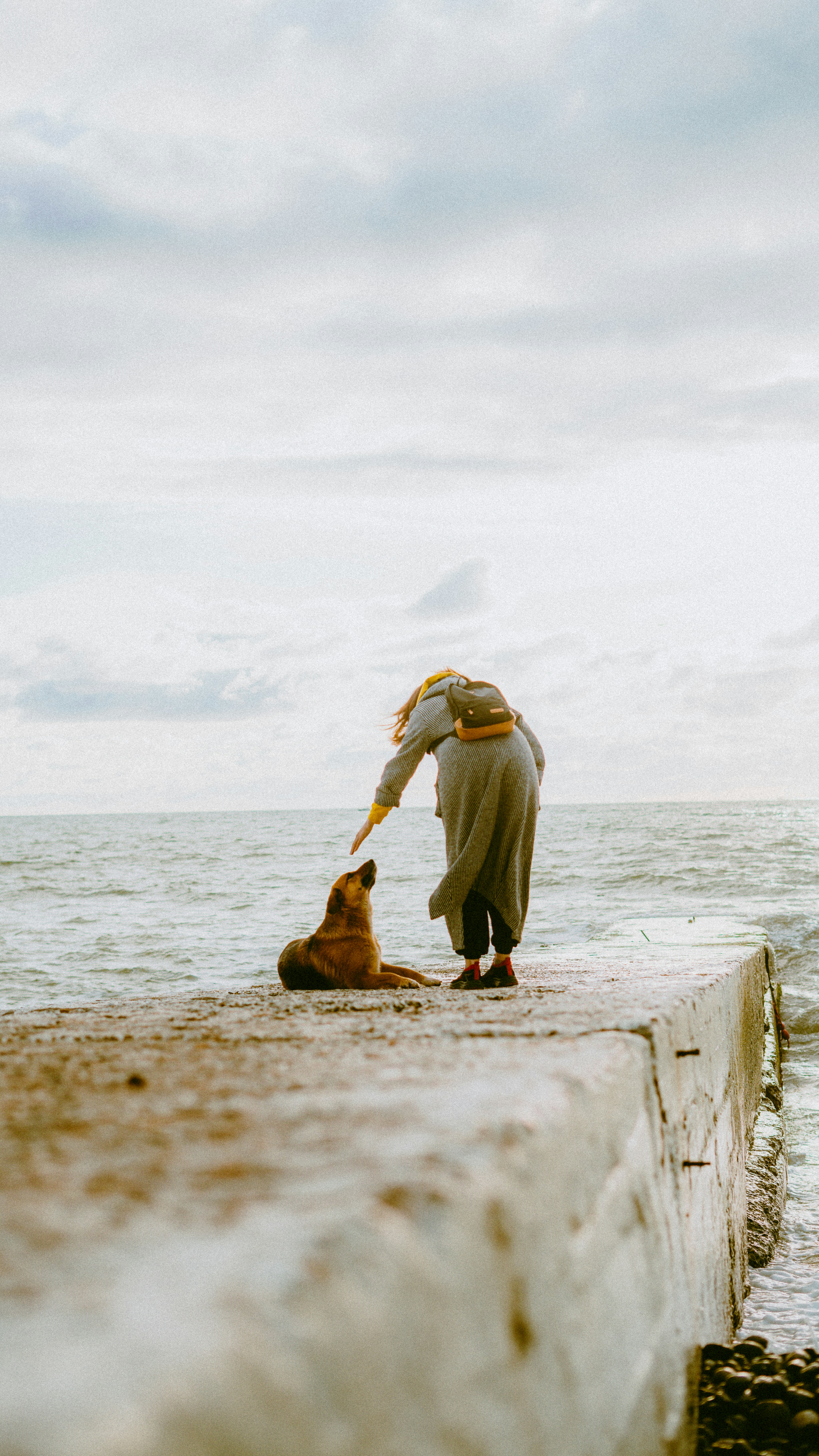 Sea-Edge Companions: A Backpacked Figure Reaches Toward a Dog on a Weathered Pier