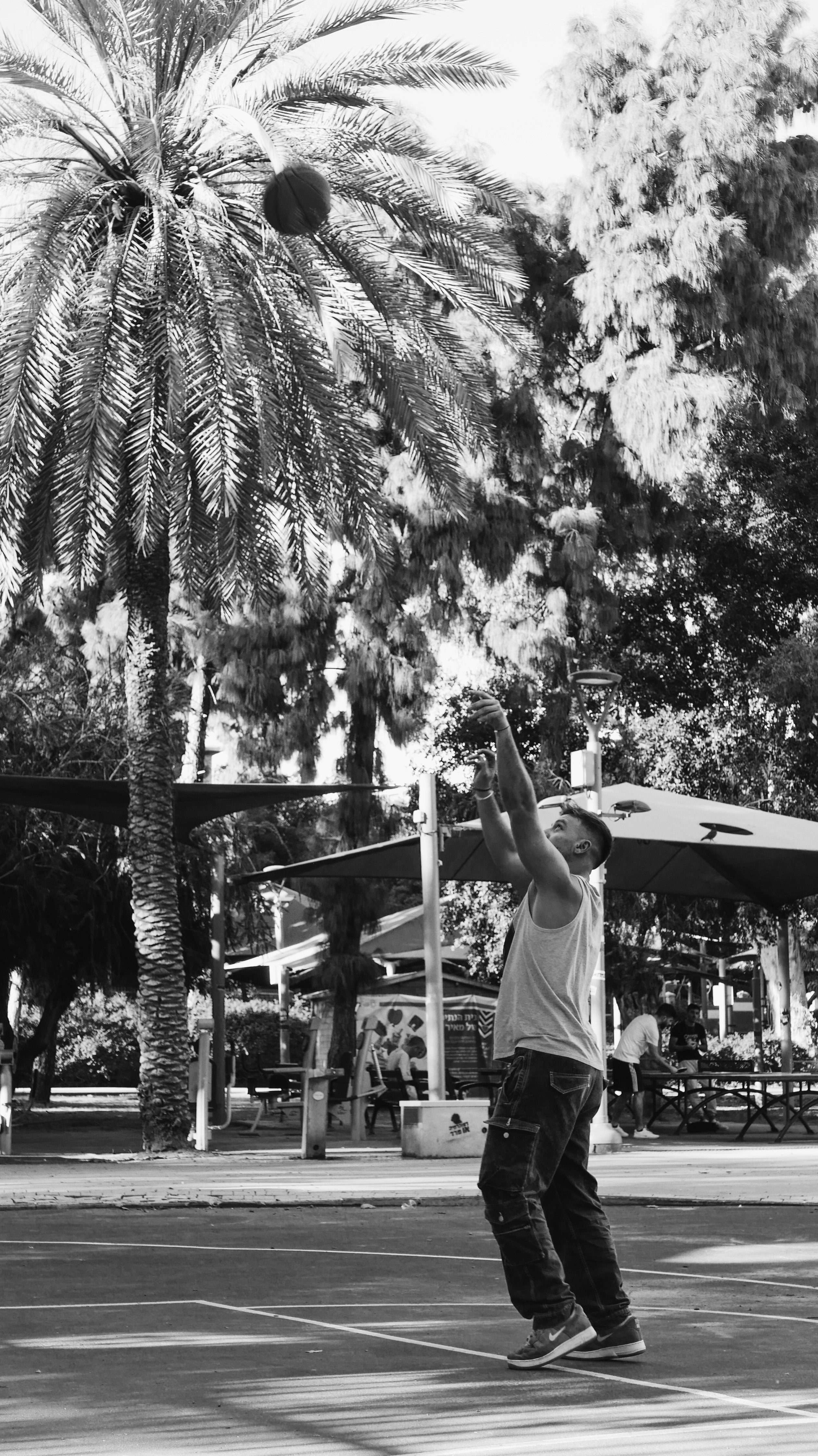 Basketball Arc Beneath Palms: A Spontaneous Park Moment