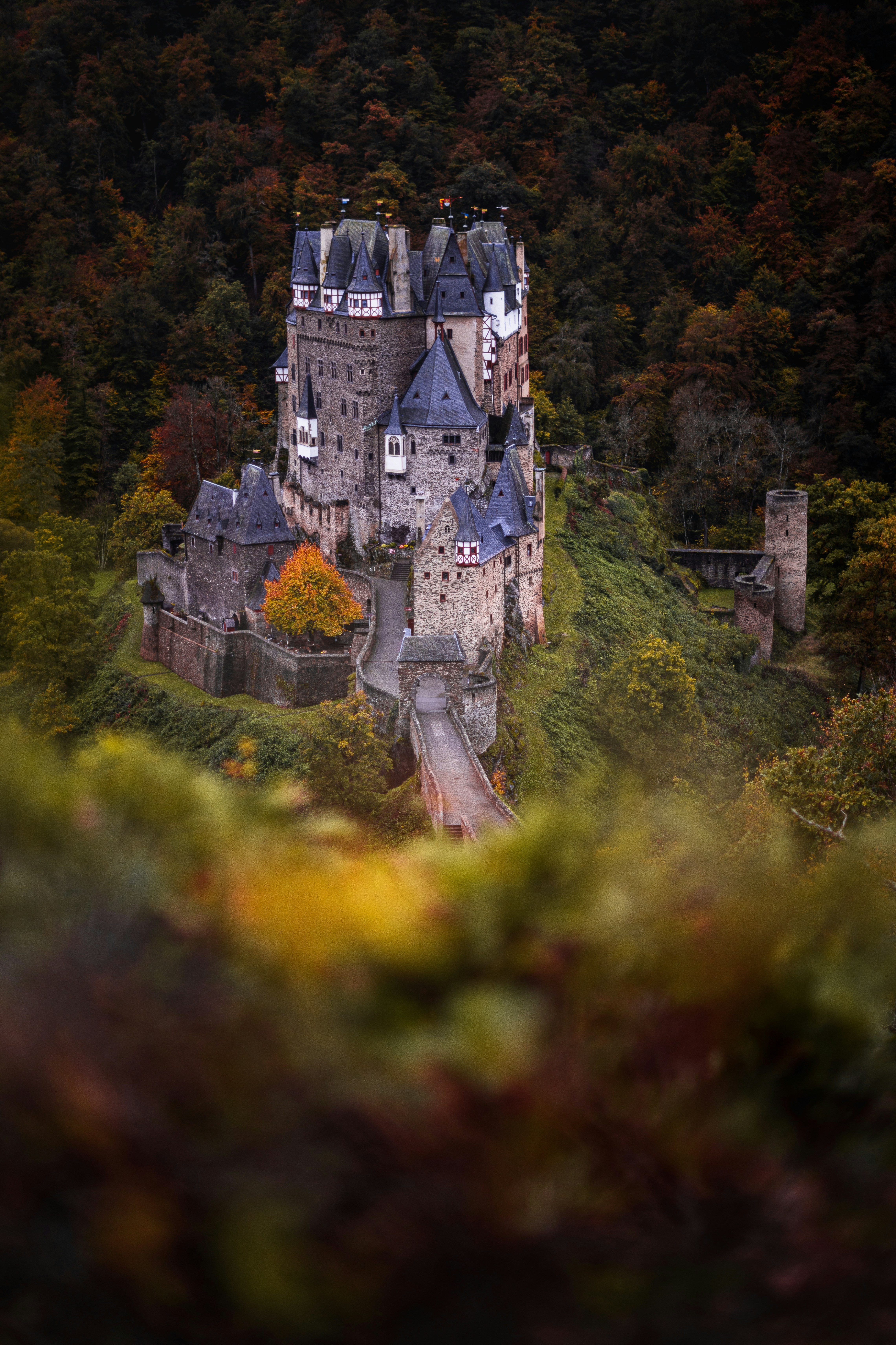 An aerial view of a castle surrounded by trees photo – Free Eltz castle ...