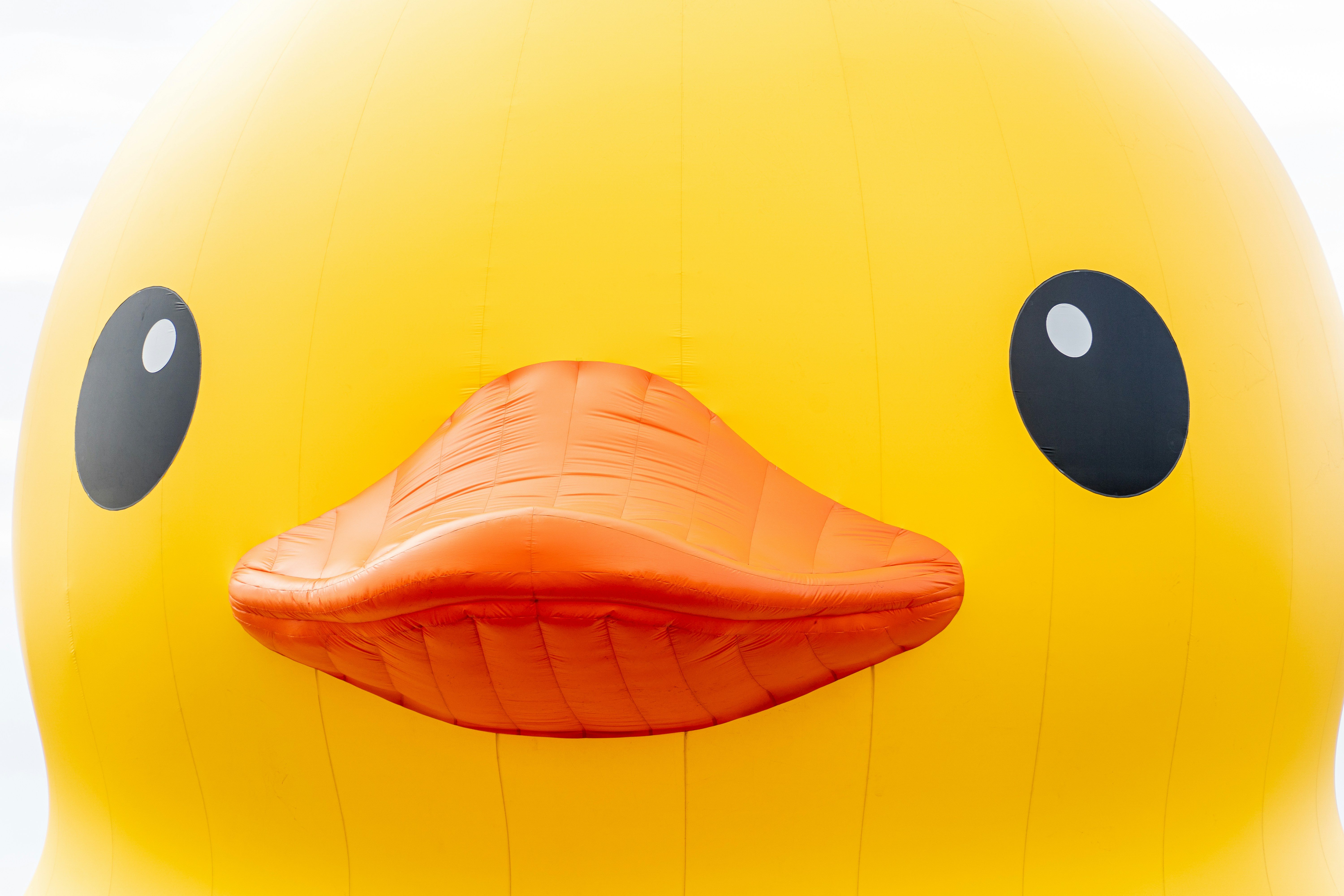 A large yellow rubber ducky floating on top of a body of water photo ...