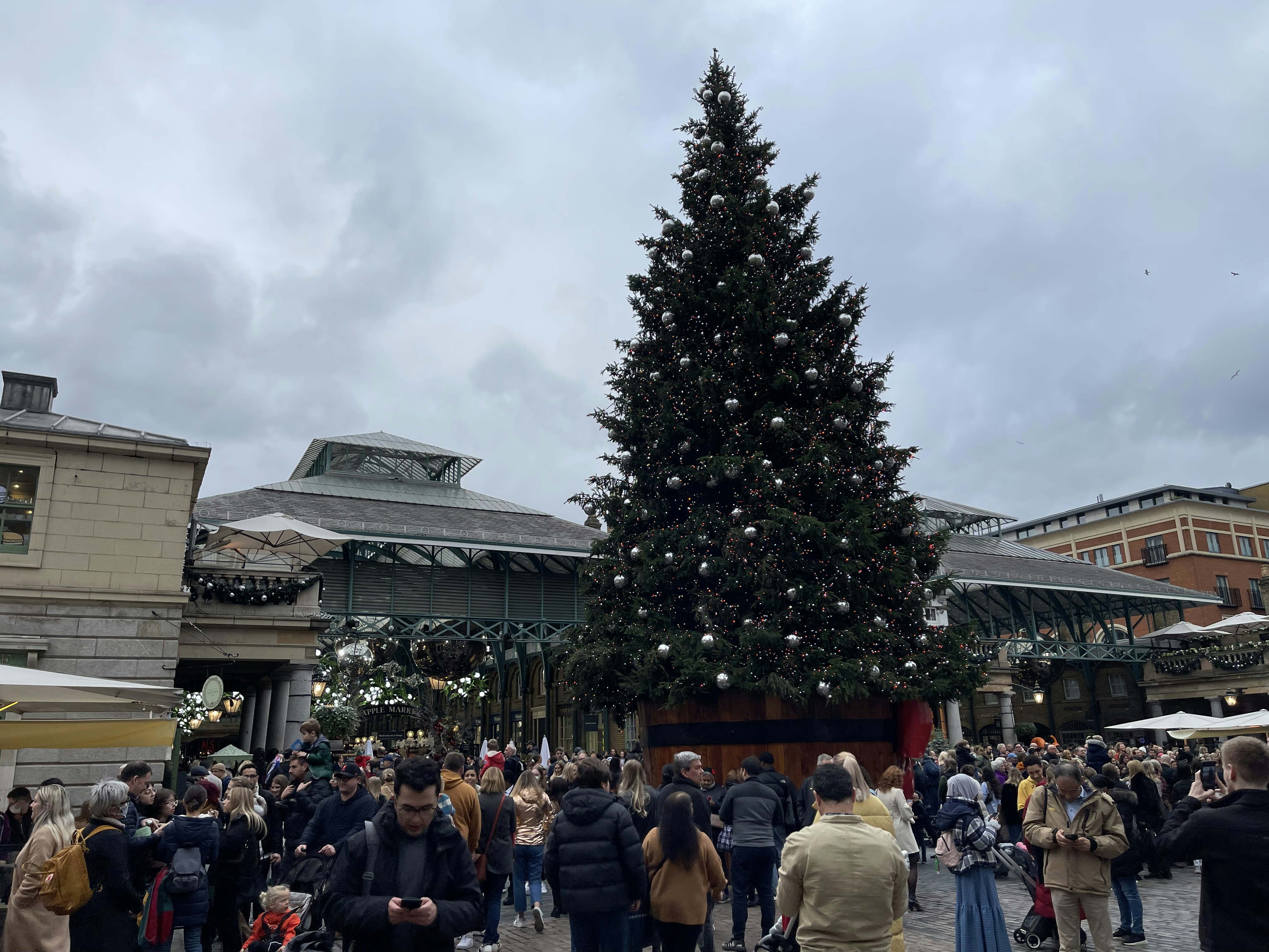 A Central Christmas Tree Dons the Square as Winter Gathering Roams the Market