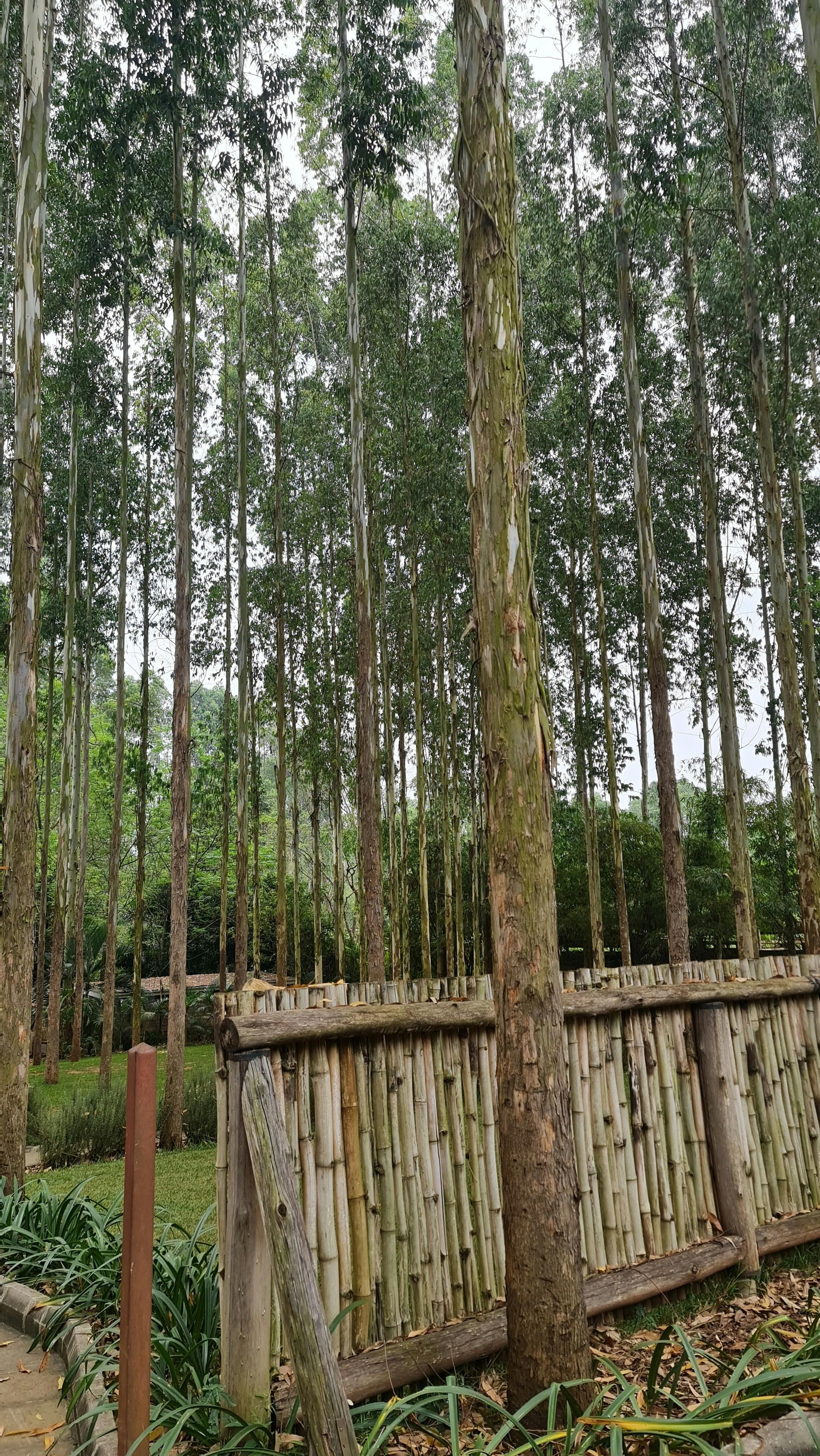 Photo by Marion Alyek with Samsung Galaxy Note20 Ultra