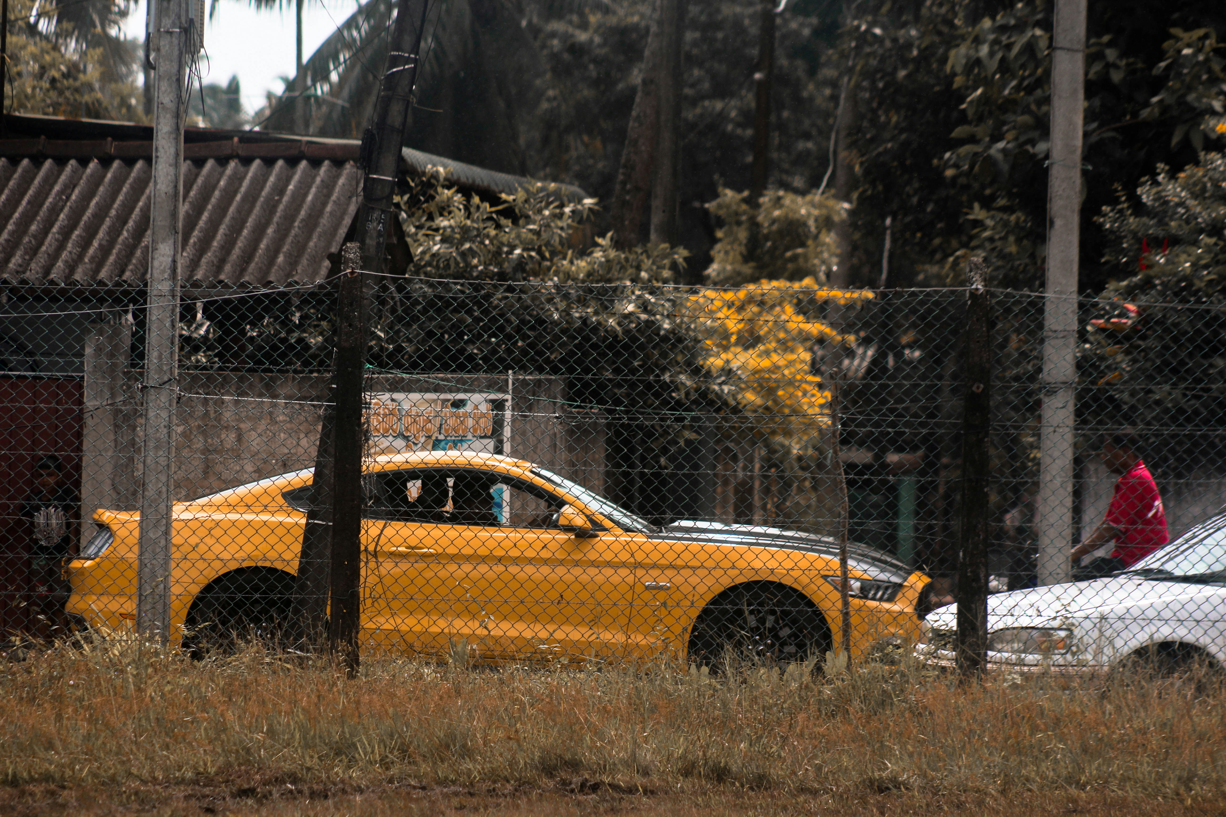 Yellow car parked behind a chain link fence with a background of trees and a small building.