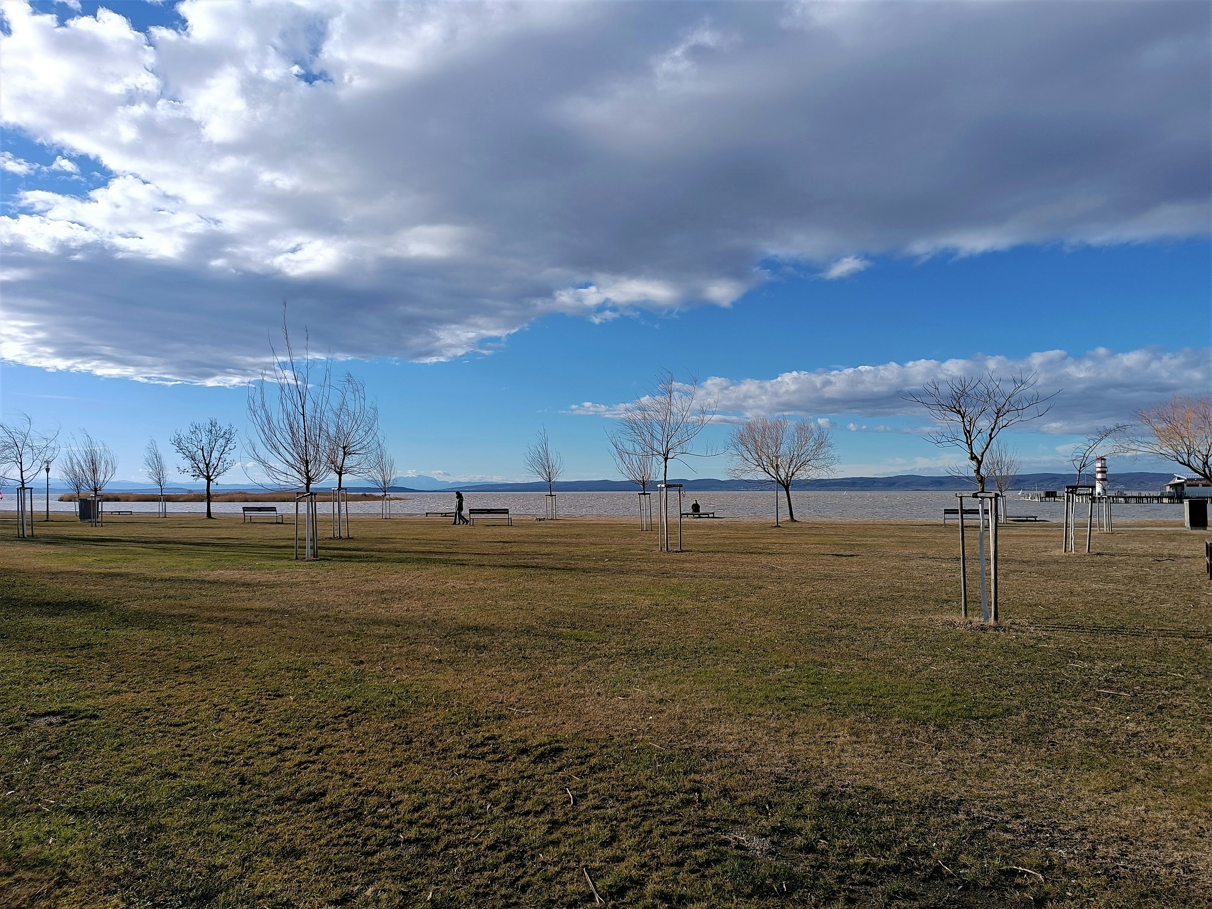 Horizon Lines: Bare Trees Framing a Quiet Lakeside Park