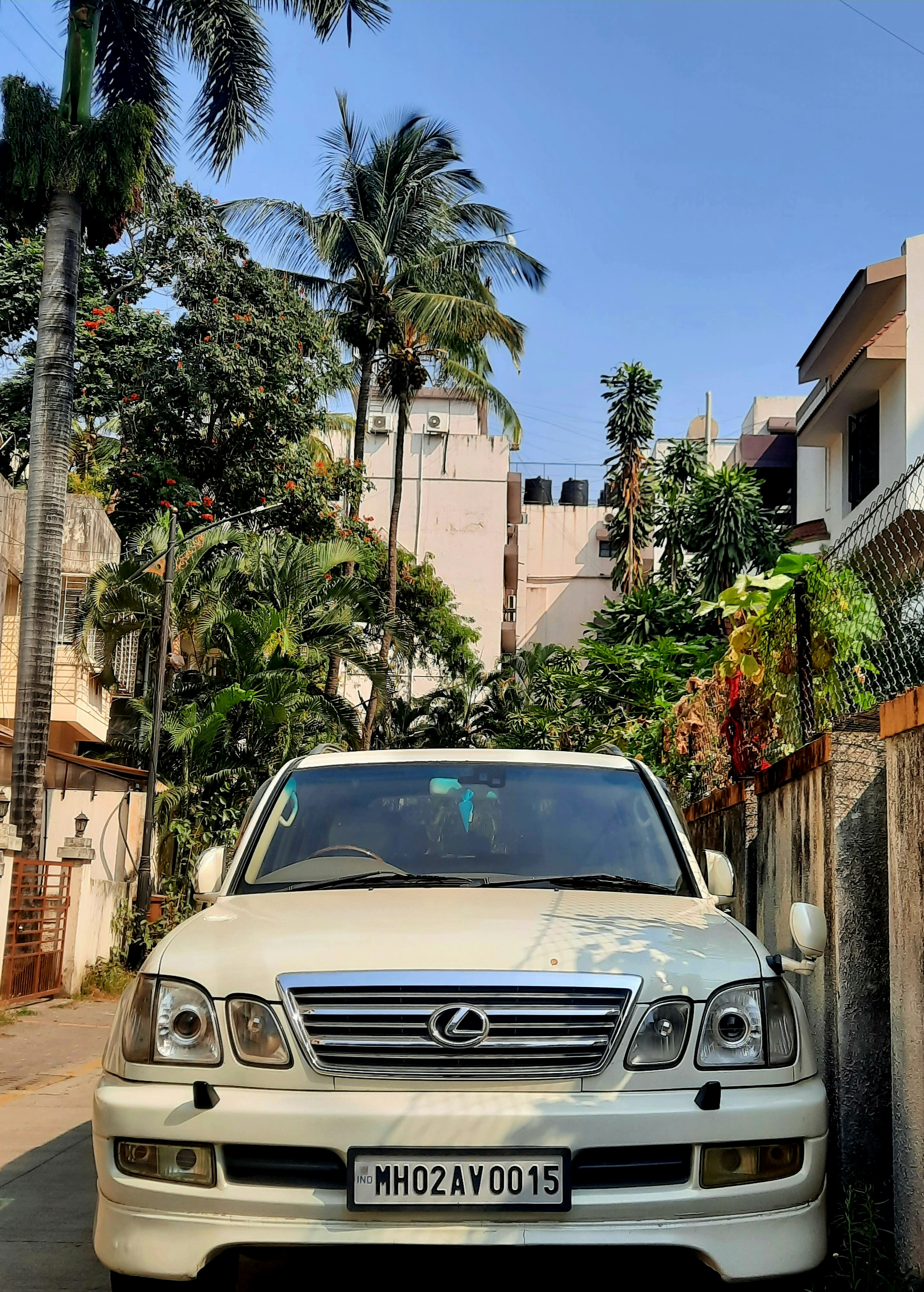 Front-and-Center Lexus in a Palm-Lined Residential Alley
