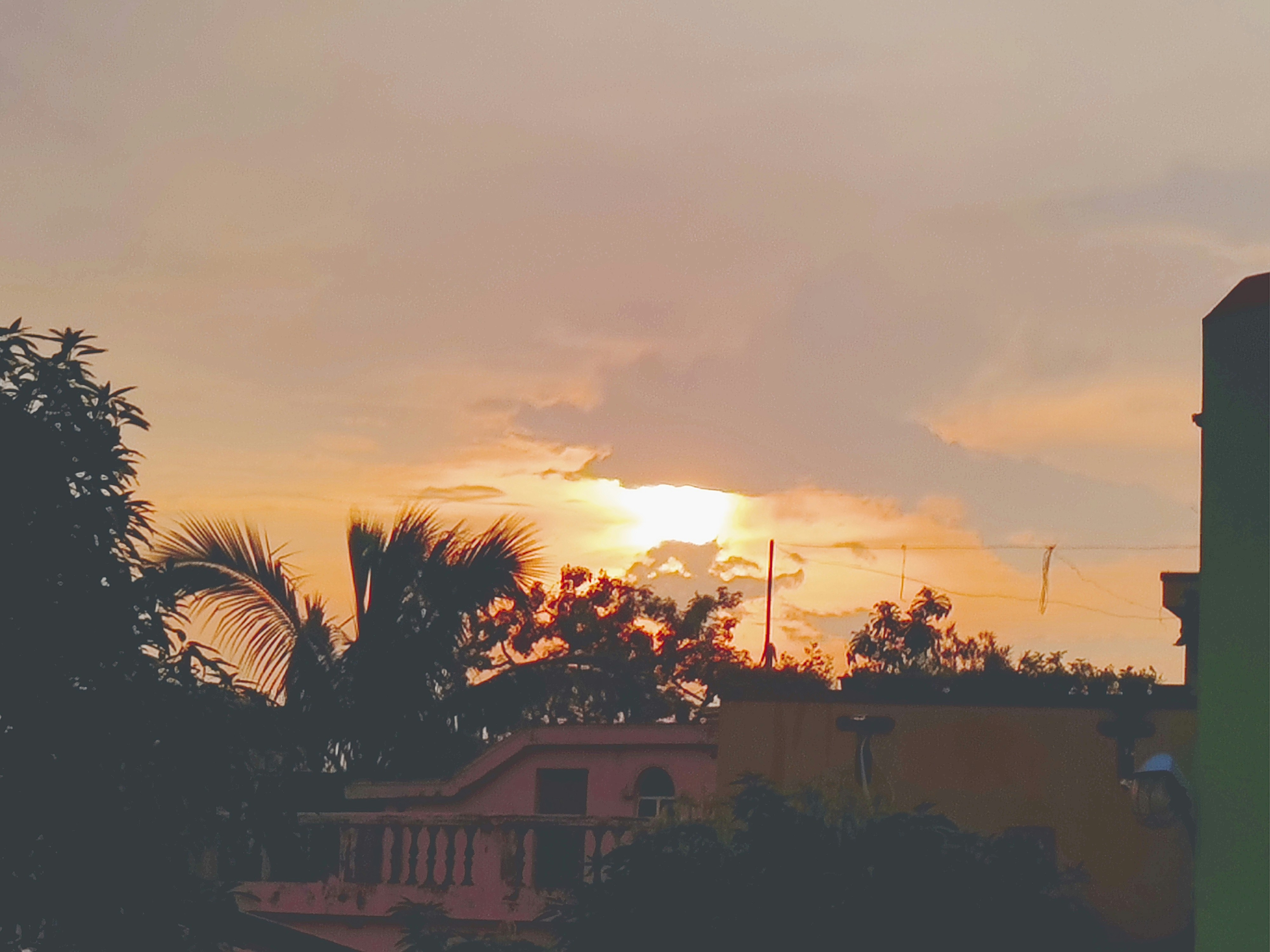 Photo by Rudra Rup Singha with Motorola Moto G60