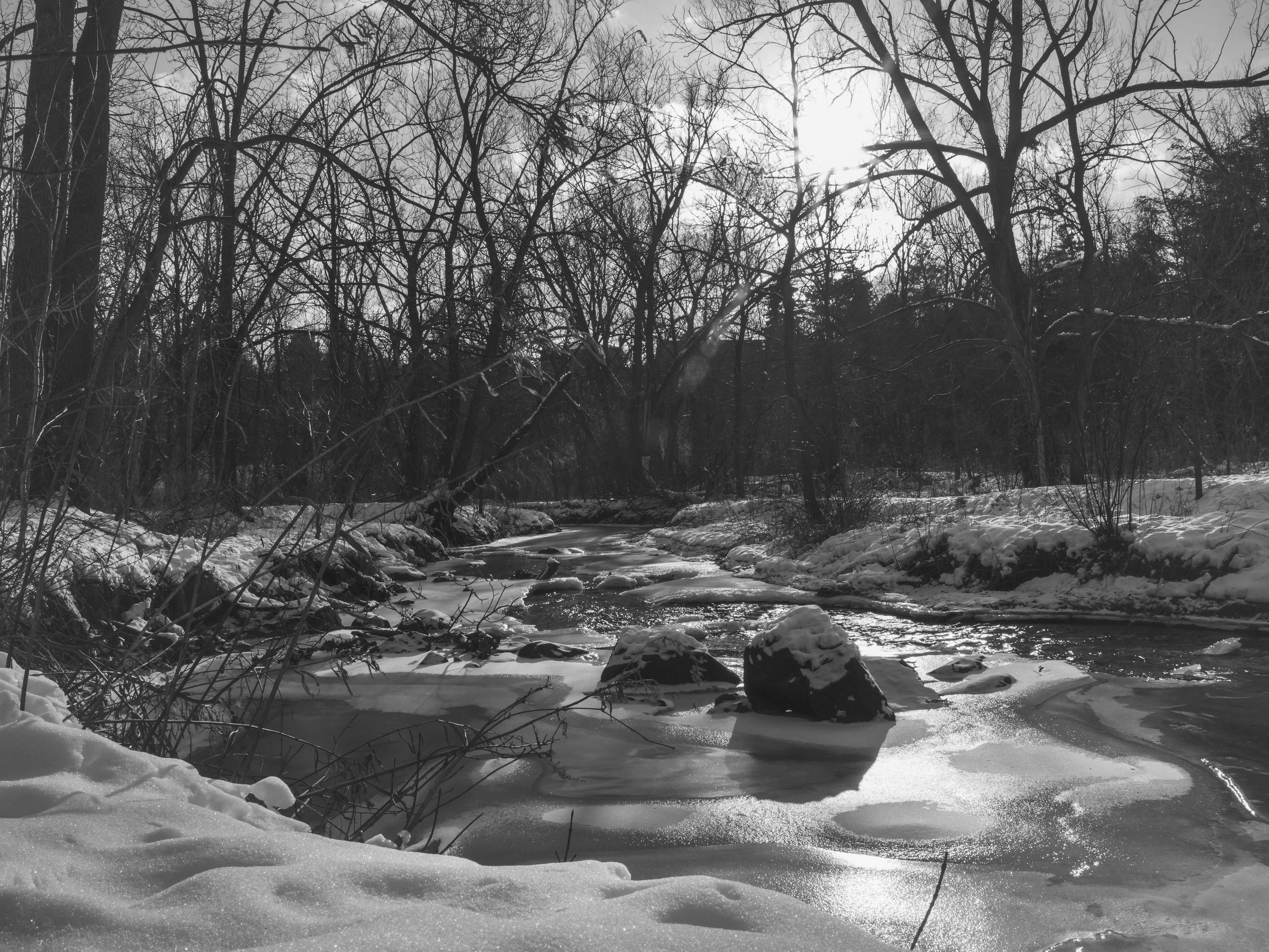 A serene winter landscape featuring a gently flowing stream surrounded by snow-covered rocks and bare trees, illuminated by soft sunlight.